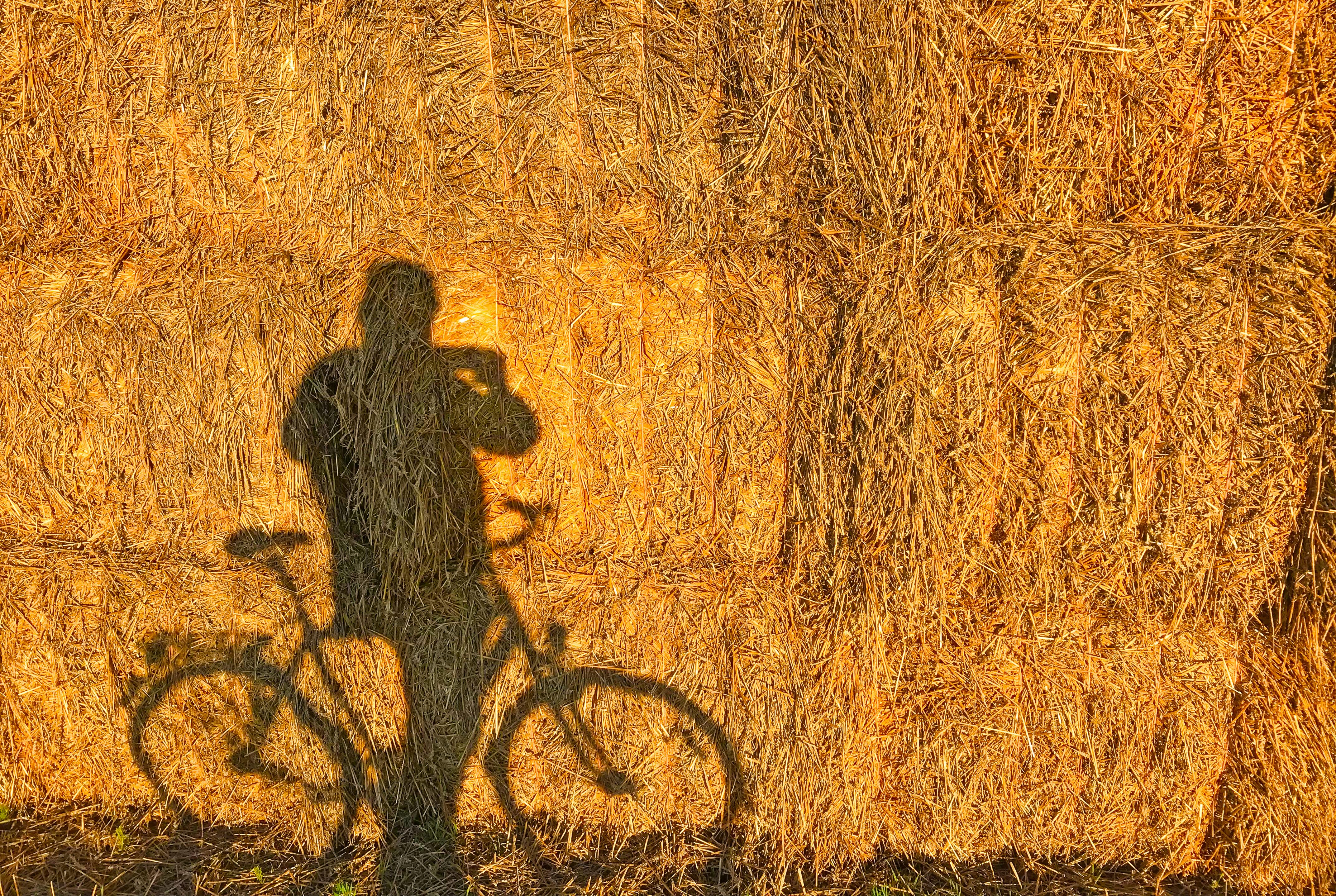 Shadow of Cyclist Cast on Hay Bale · Free Stock Photo