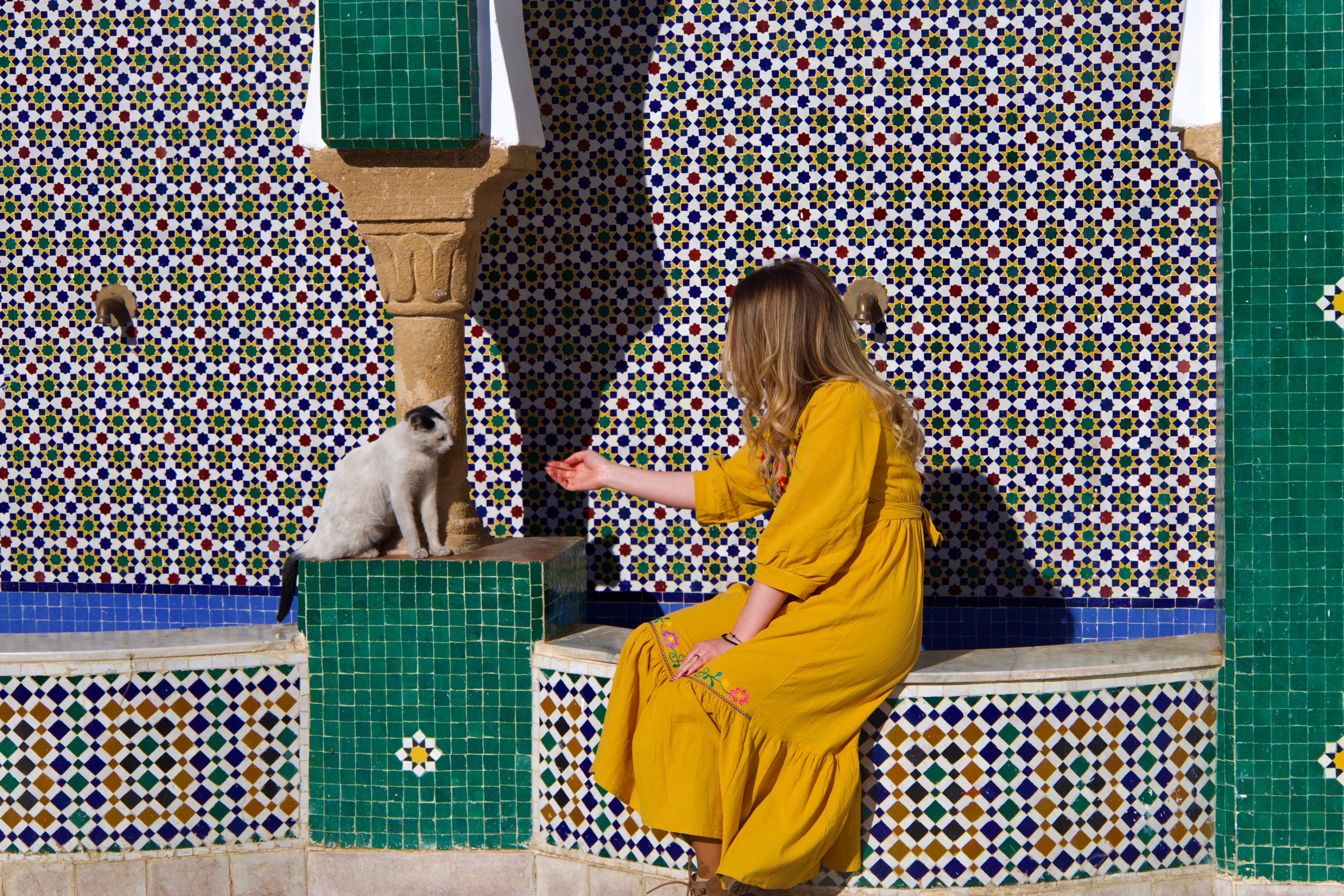 Woman Interacting with Cat in Moroccan Courtyard · Free Stock Photo