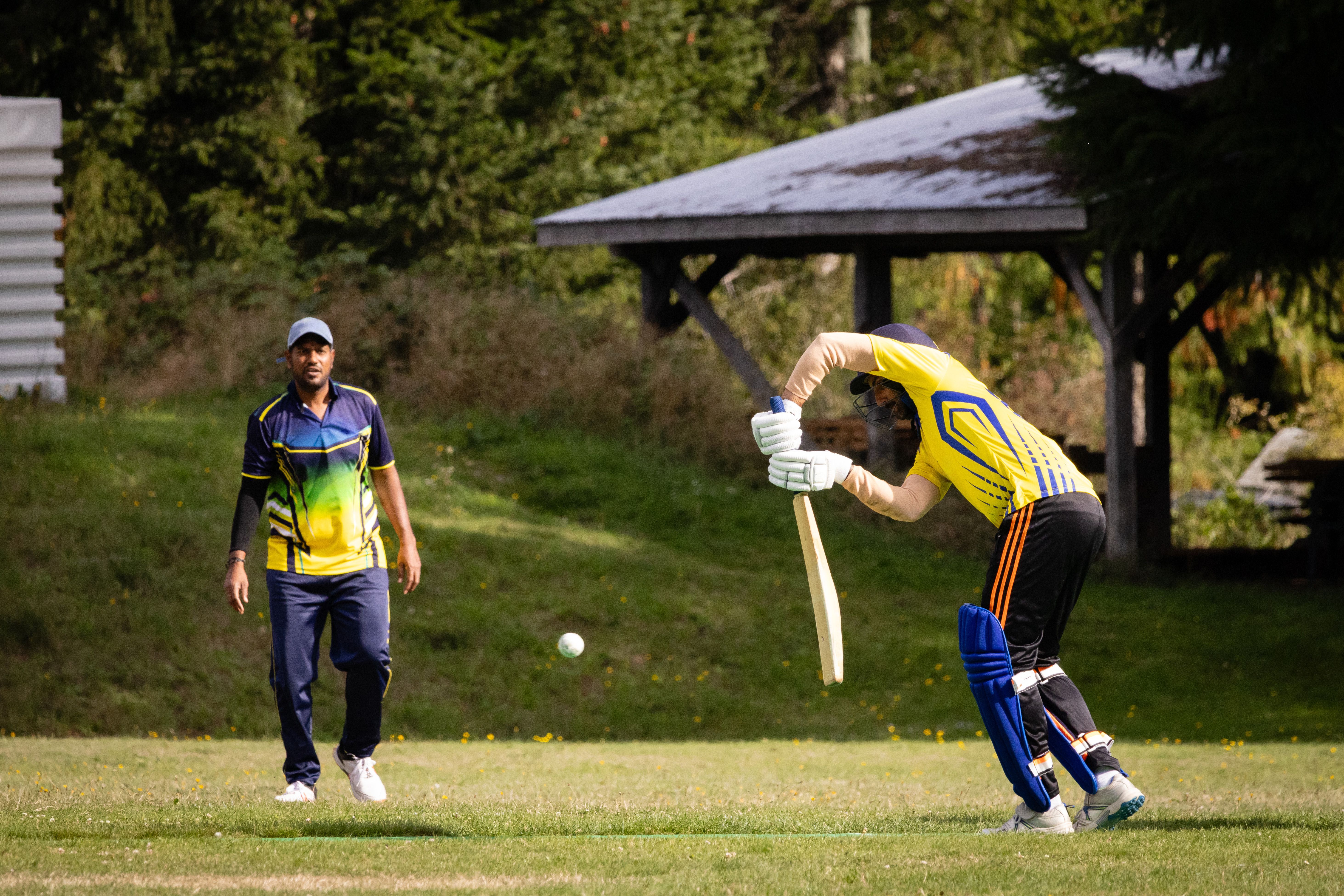 Intense Cricket Match Action in Outdoor Setting · Free Stock Photo