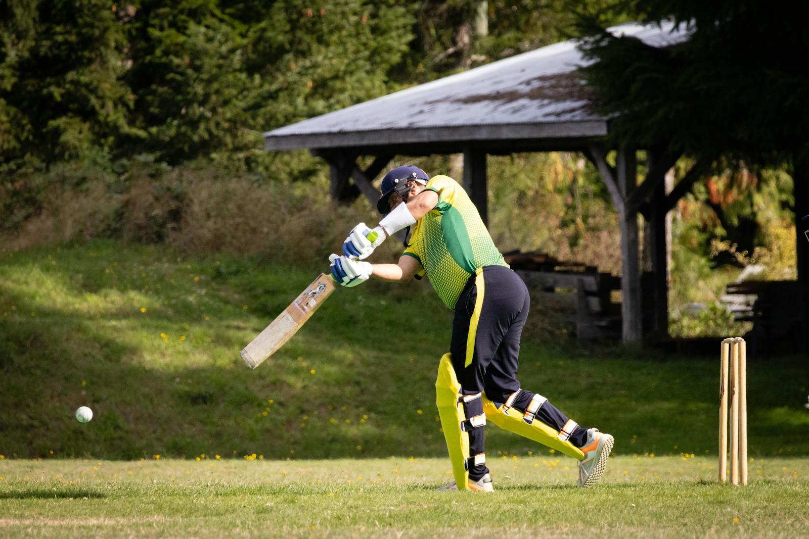 Cricket Game Photos, Download The BEST Free Cricket Game Stock Photos ...