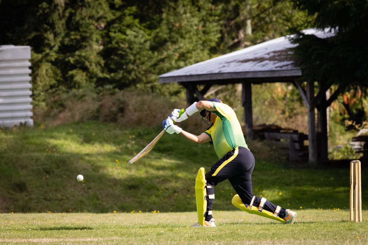 Cricket Photos, Download The BEST Free Cricket Stock Photos & HD Images