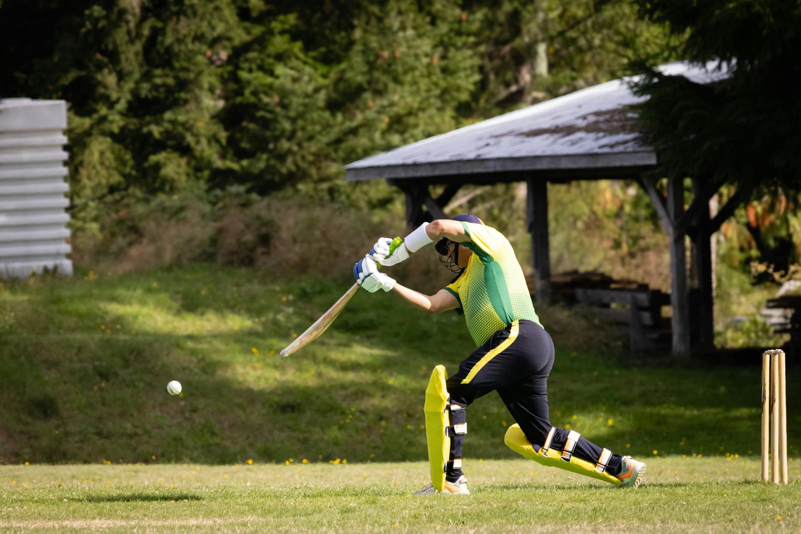 Cricket Photos, Download The BEST Free Cricket Stock Photos & HD Images