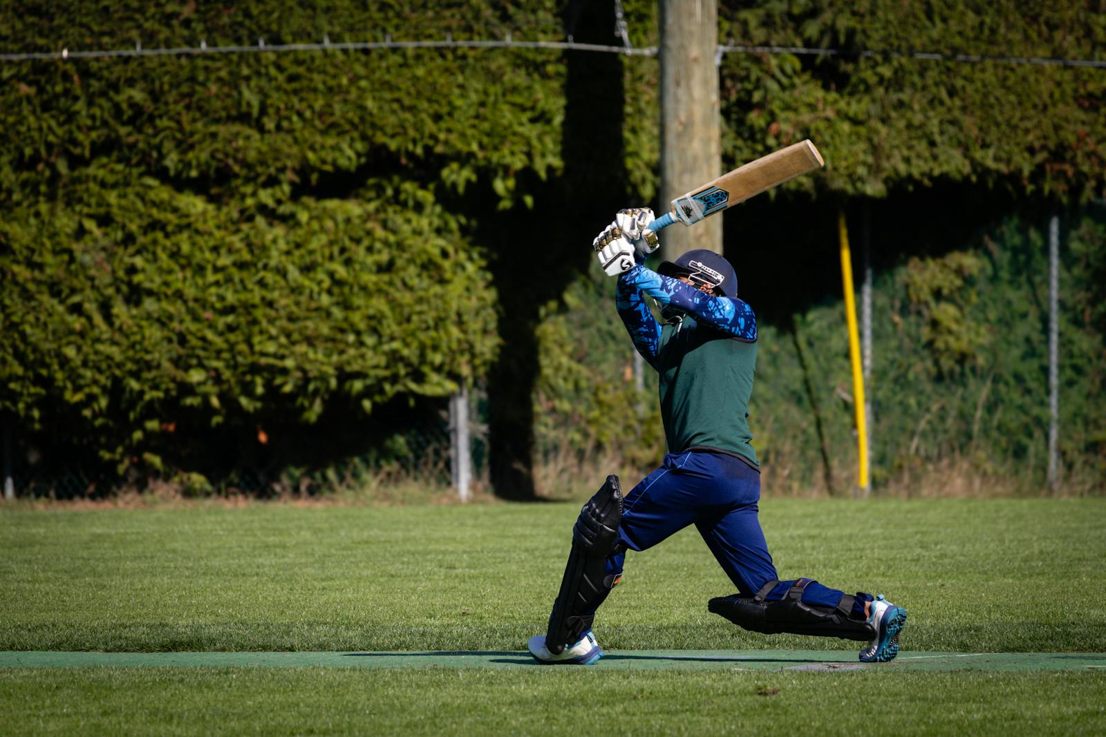 Cricket Match Photos, Download The BEST Free Cricket Match Stock Photos ...