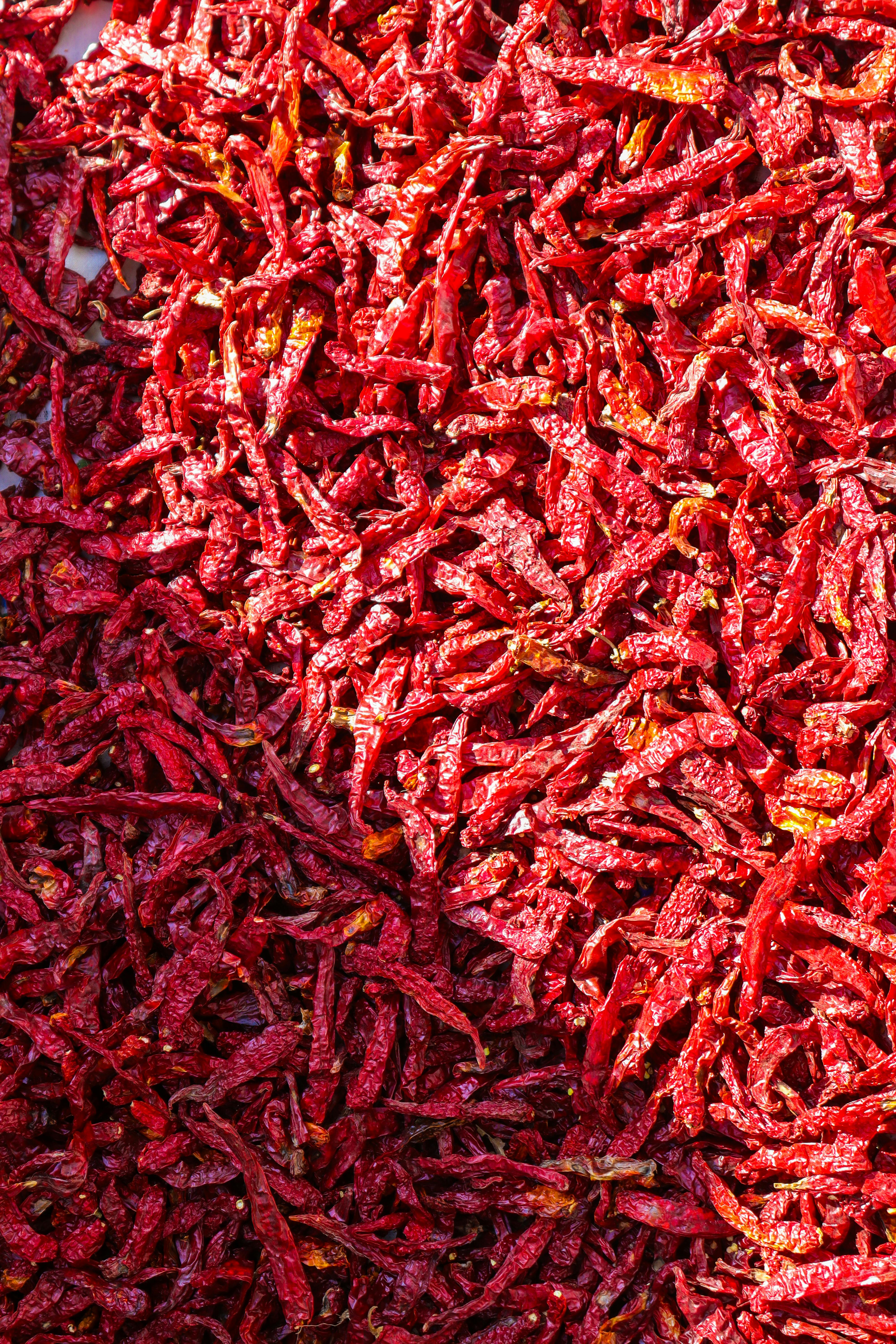 Red Chilli Photos, Download The BEST Free Red Chilli Stock Photos & HD ...