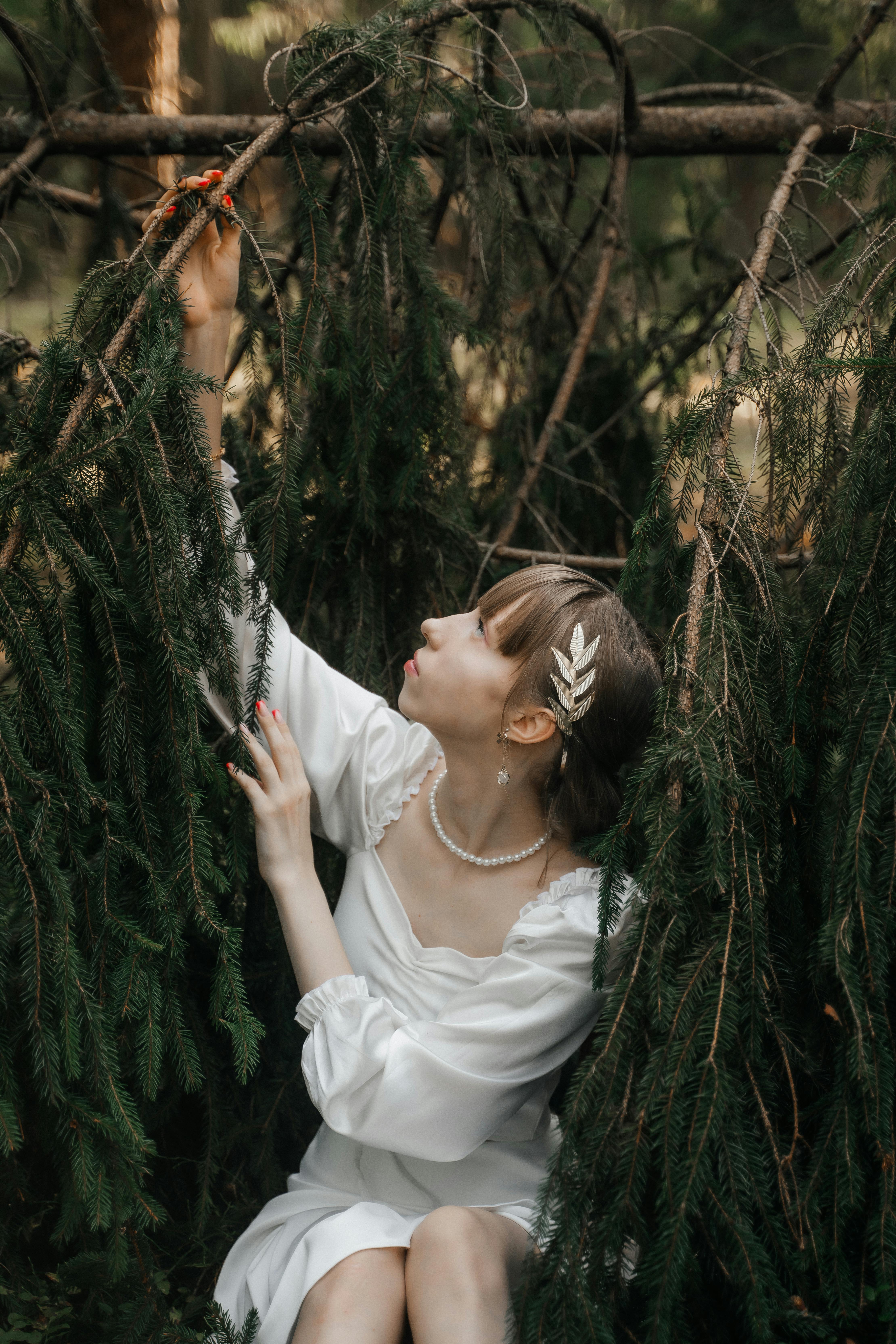 Princess Pine Photos, Download The BEST Free Princess Pine Stock Photos & HD Images