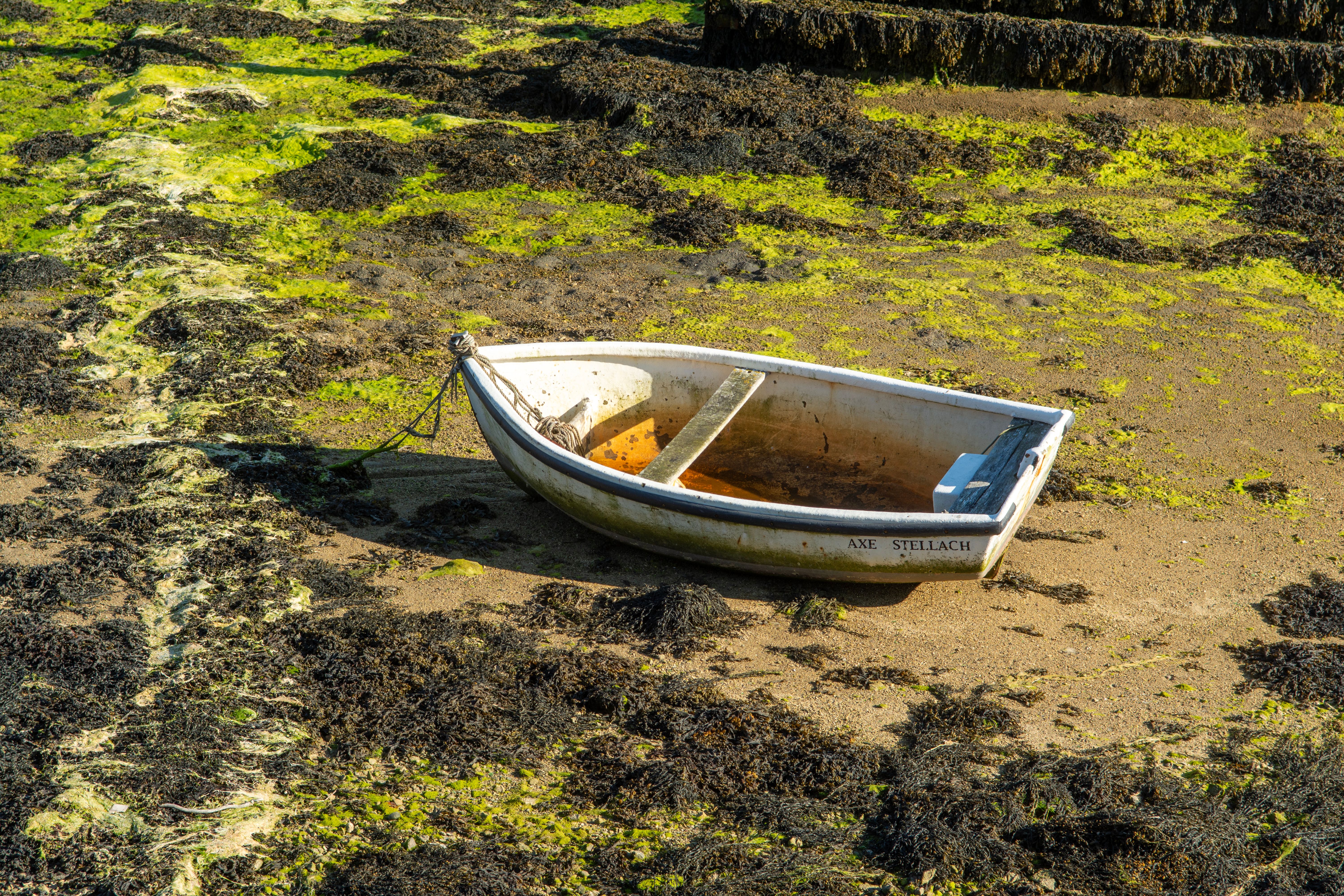 Wooden Boat on Rocky Algae-Covered Shore · Free Stock Photo