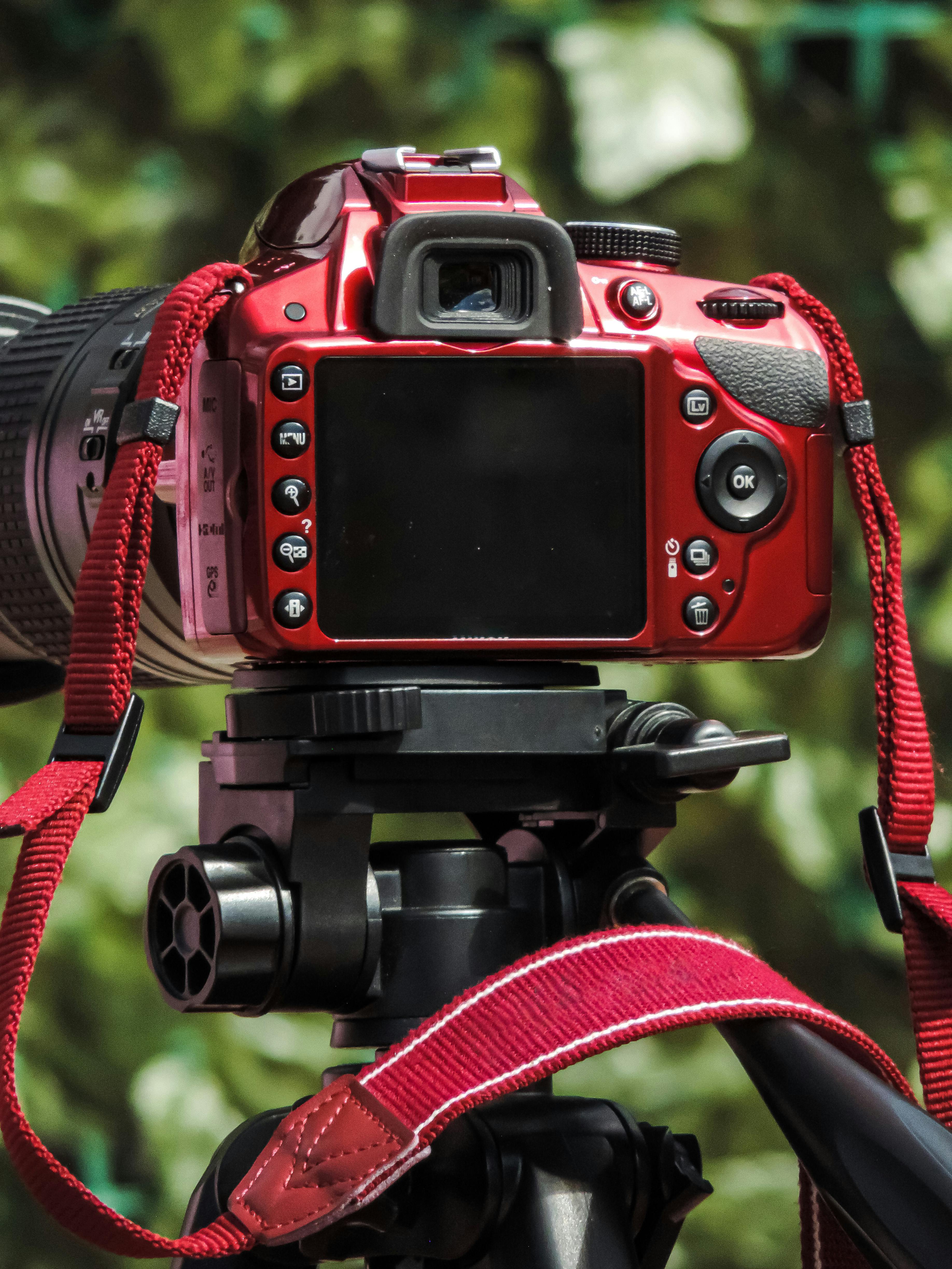Red DSLR Camera on Tripod in Outdoor Setting · Free Stock Photo