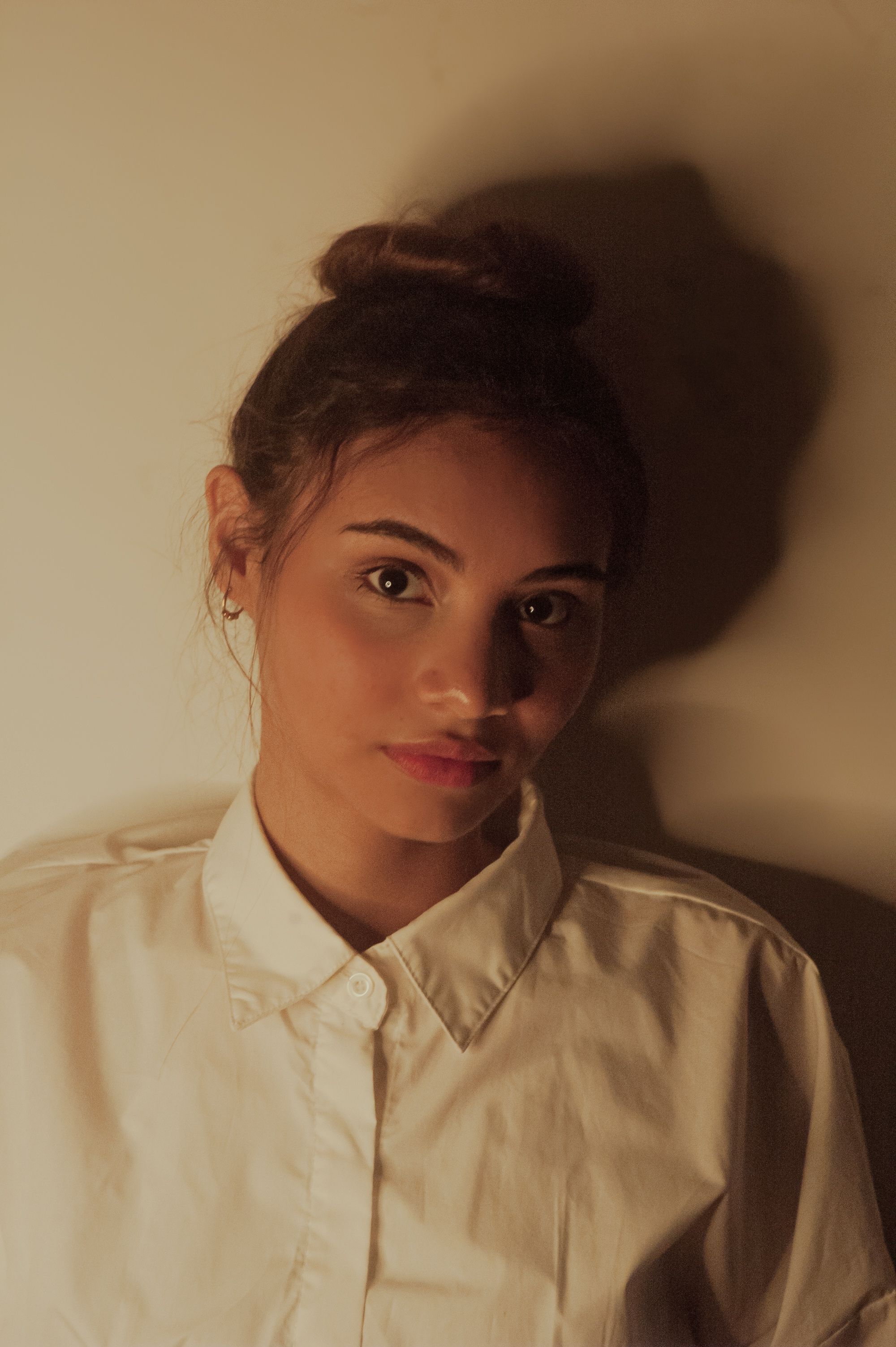 Portrait of a Woman with Subtle Lighting · Free Stock Photo
