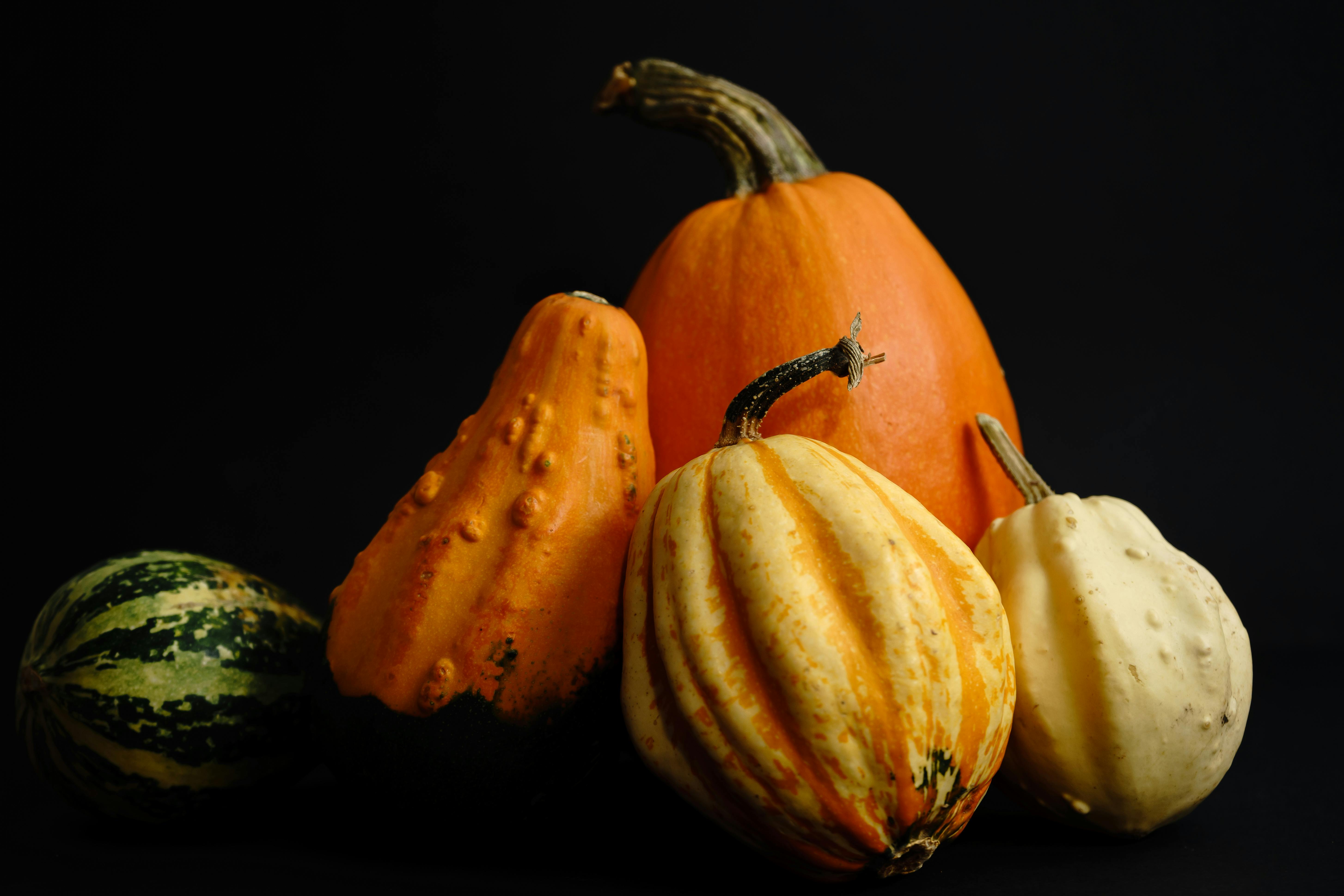 Five Assorted-shape Pumpkins · Free Stock Photo