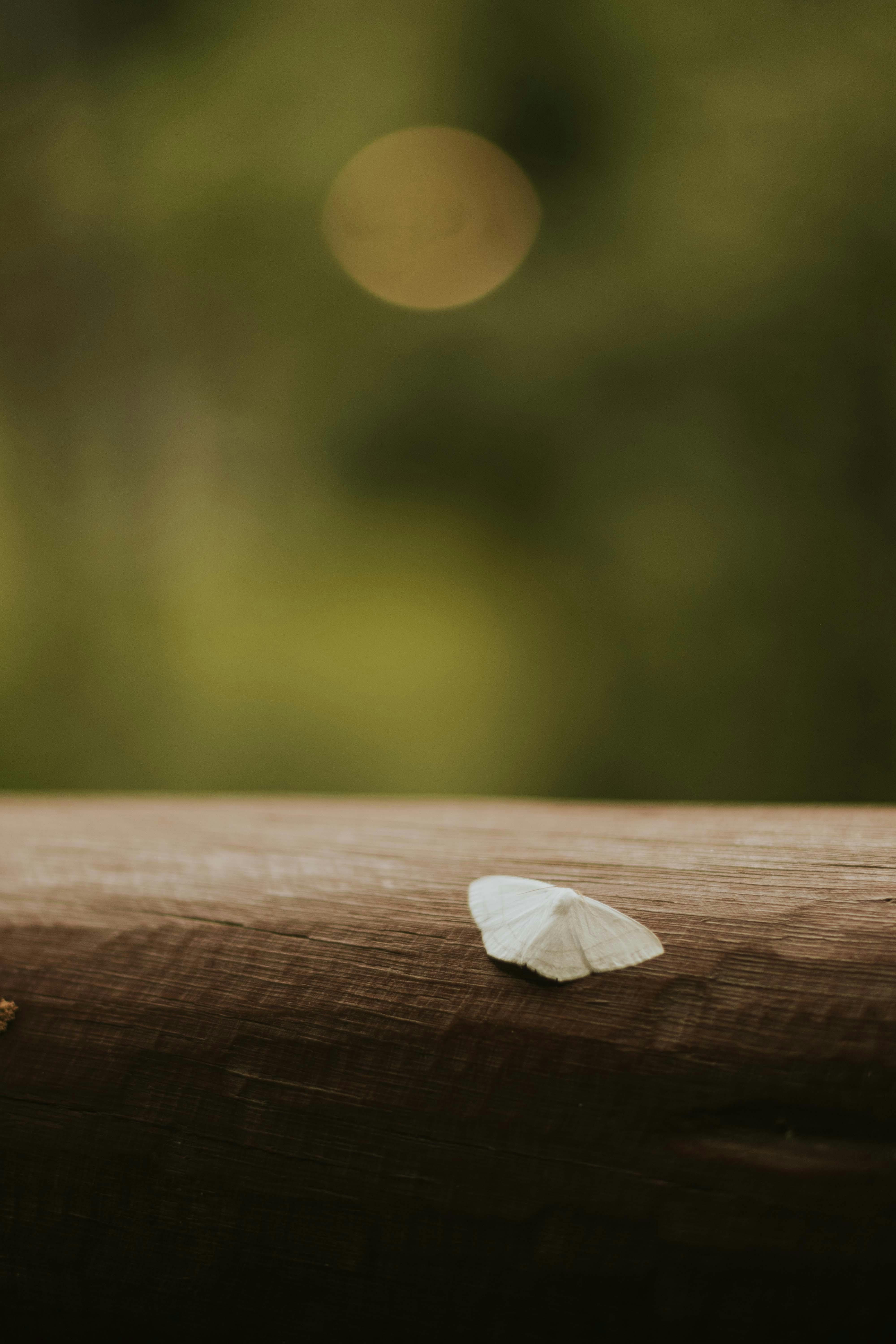 Micro Gestion Photos, Download The BEST Free Micro Gestion Stock Photos ...