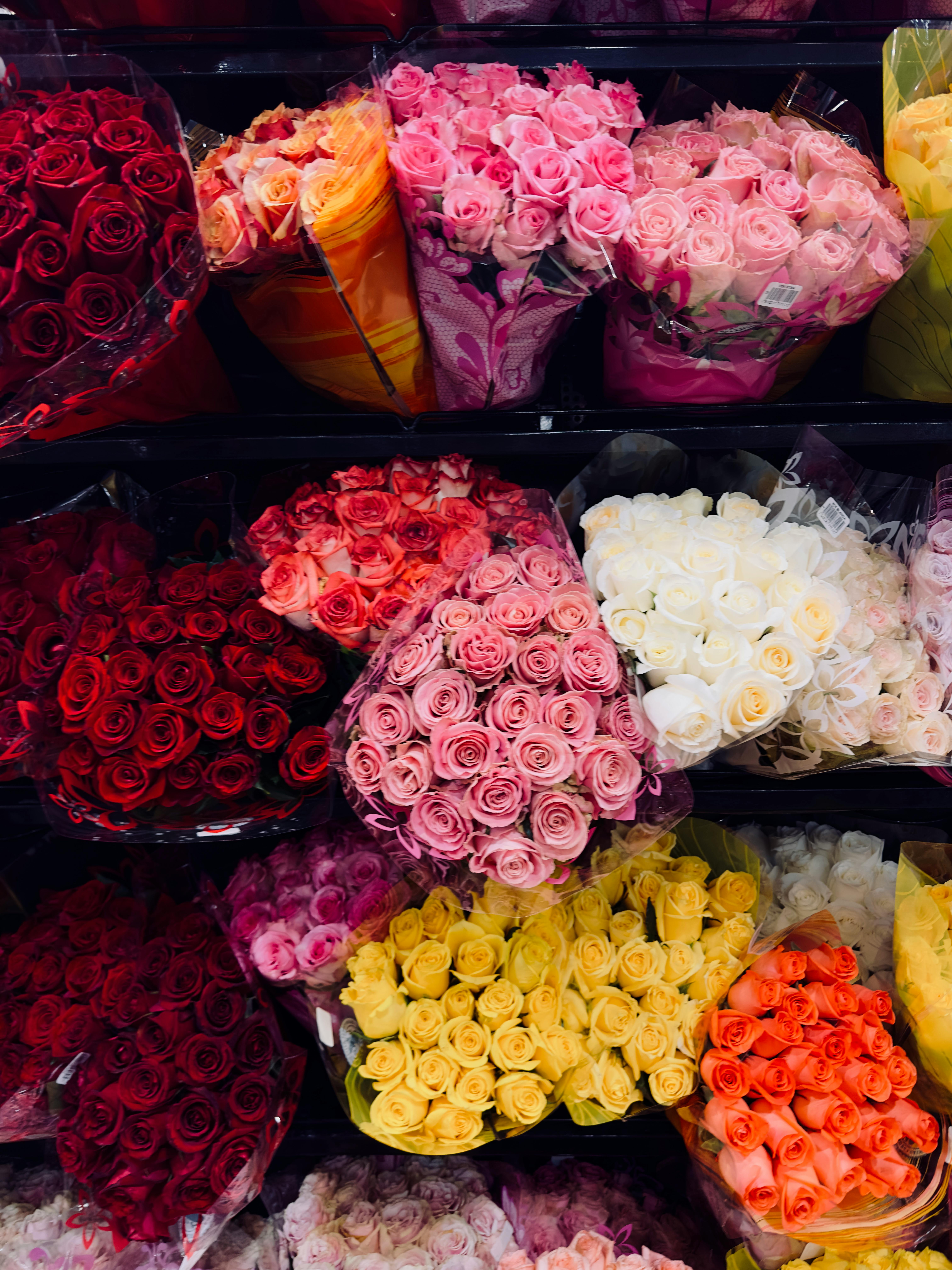 Colorful Assortment of Roses in Blooming Bouquets · Free Stock Photo