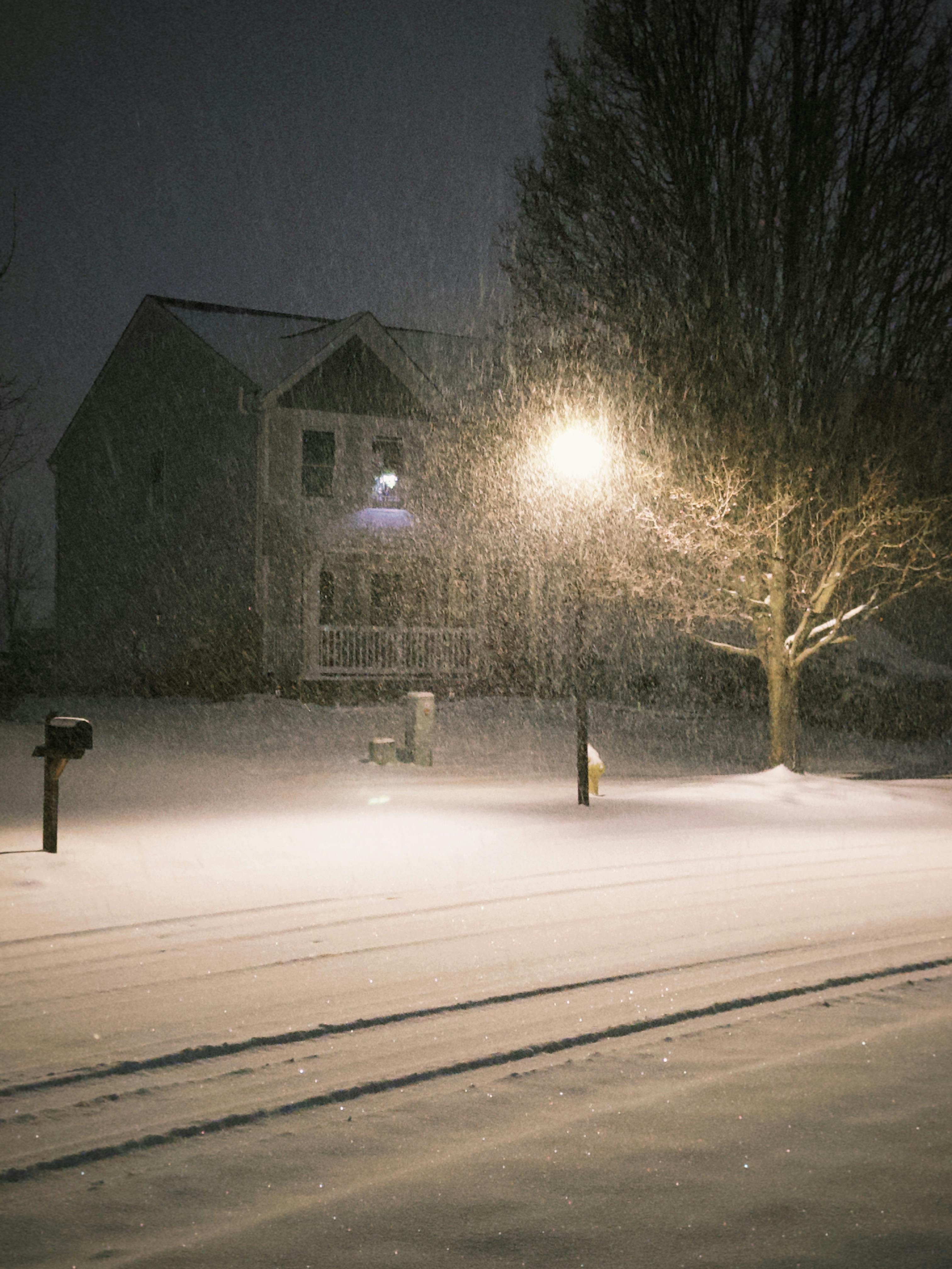 Cozy Snowfall Night Scene with House and Tree · Free Stock Photo