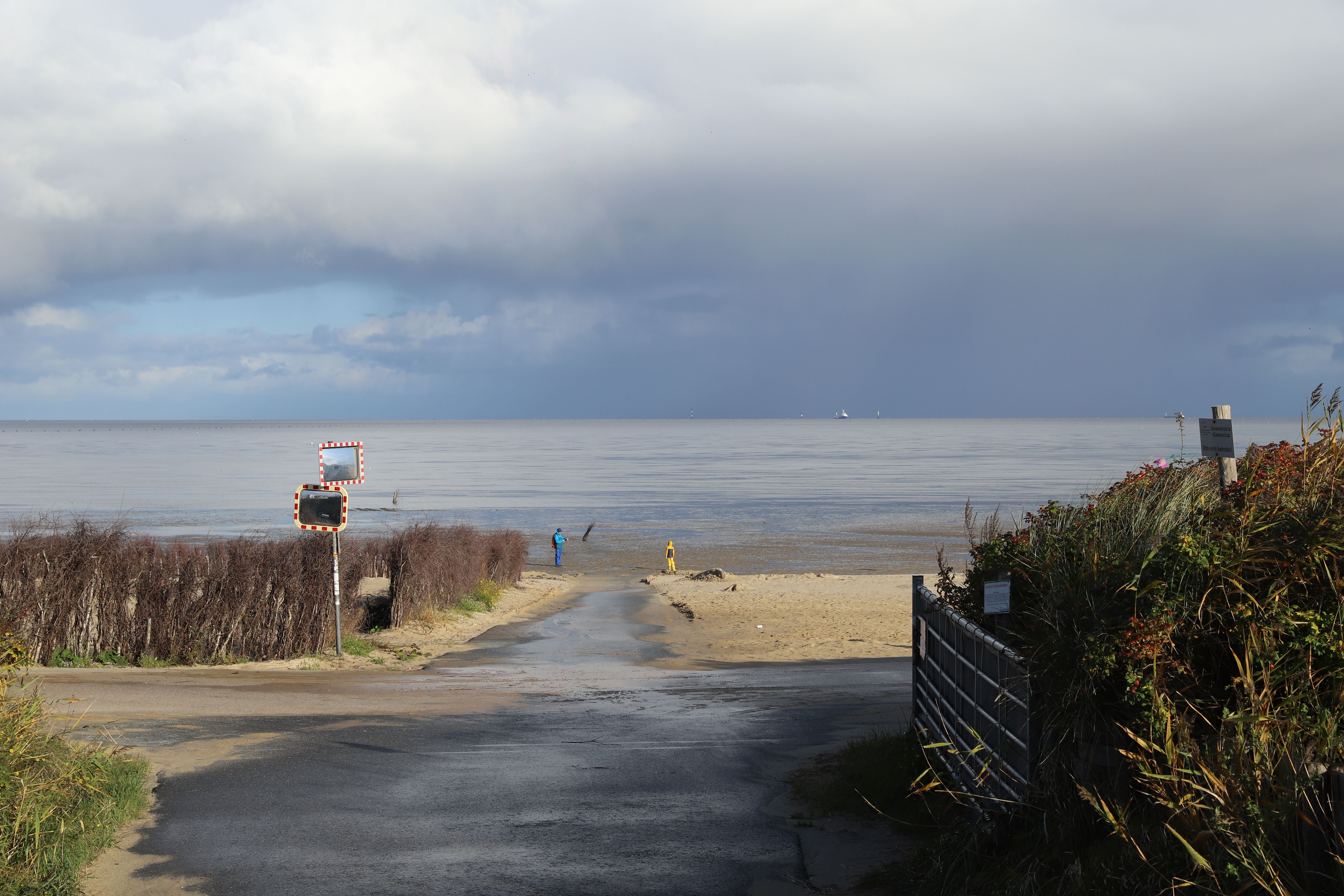 Coastal Path Leading to a Quiet Beachfront · Free Stock Photo