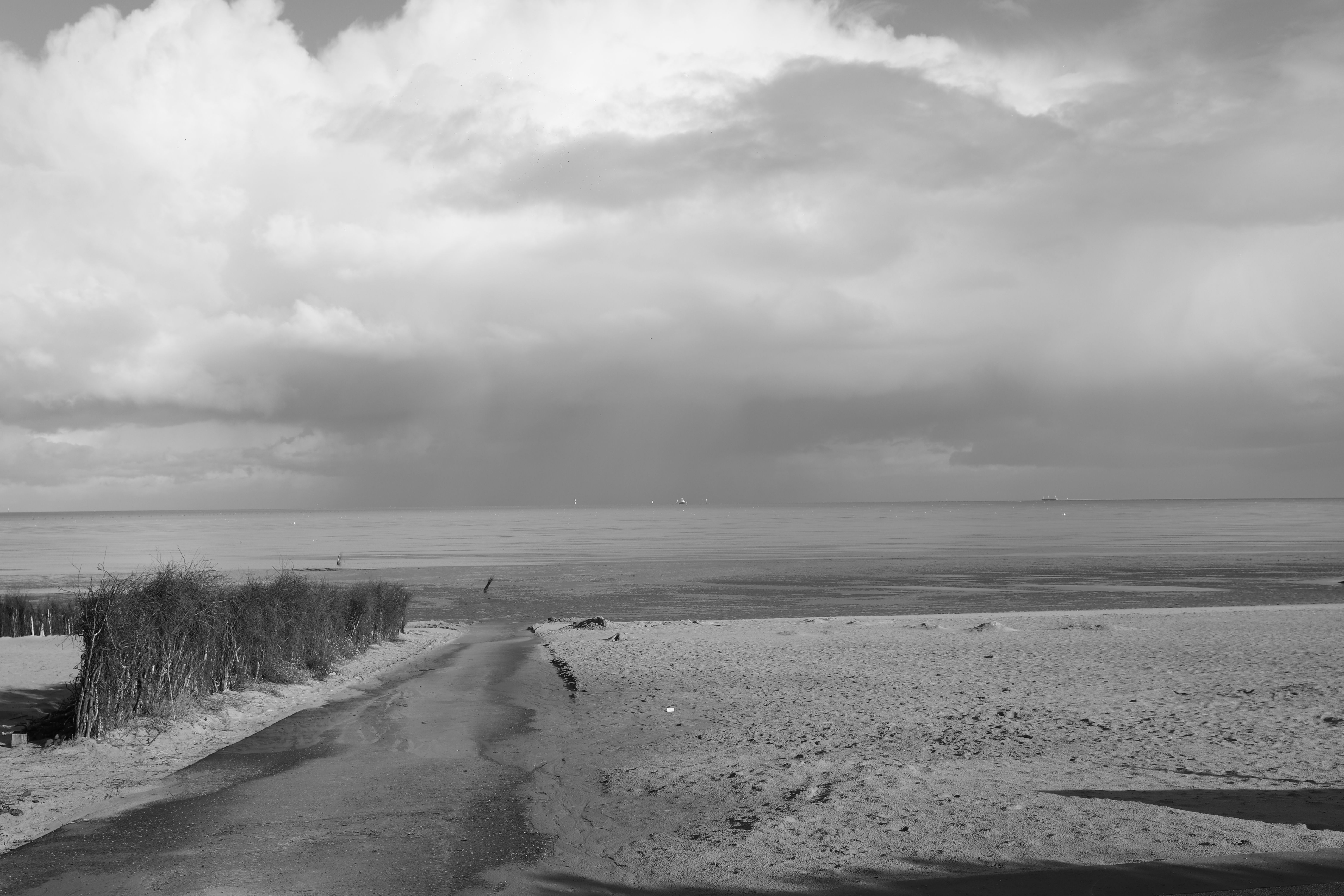 Serene Black and White Beach Landscape · Free Stock Photo