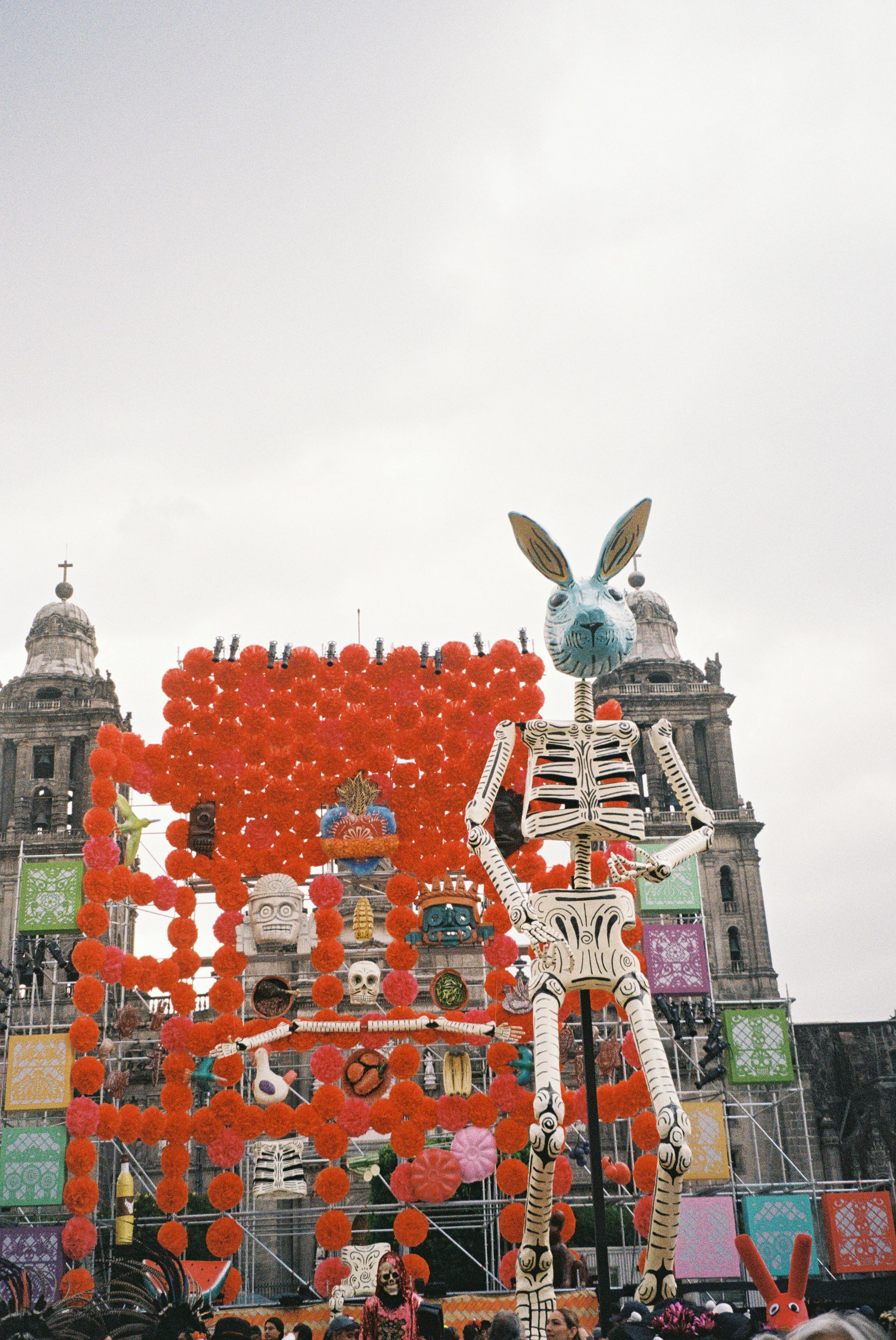 Chiropractic Skeleton Photos, Download The BEST Free Chiropractic ...