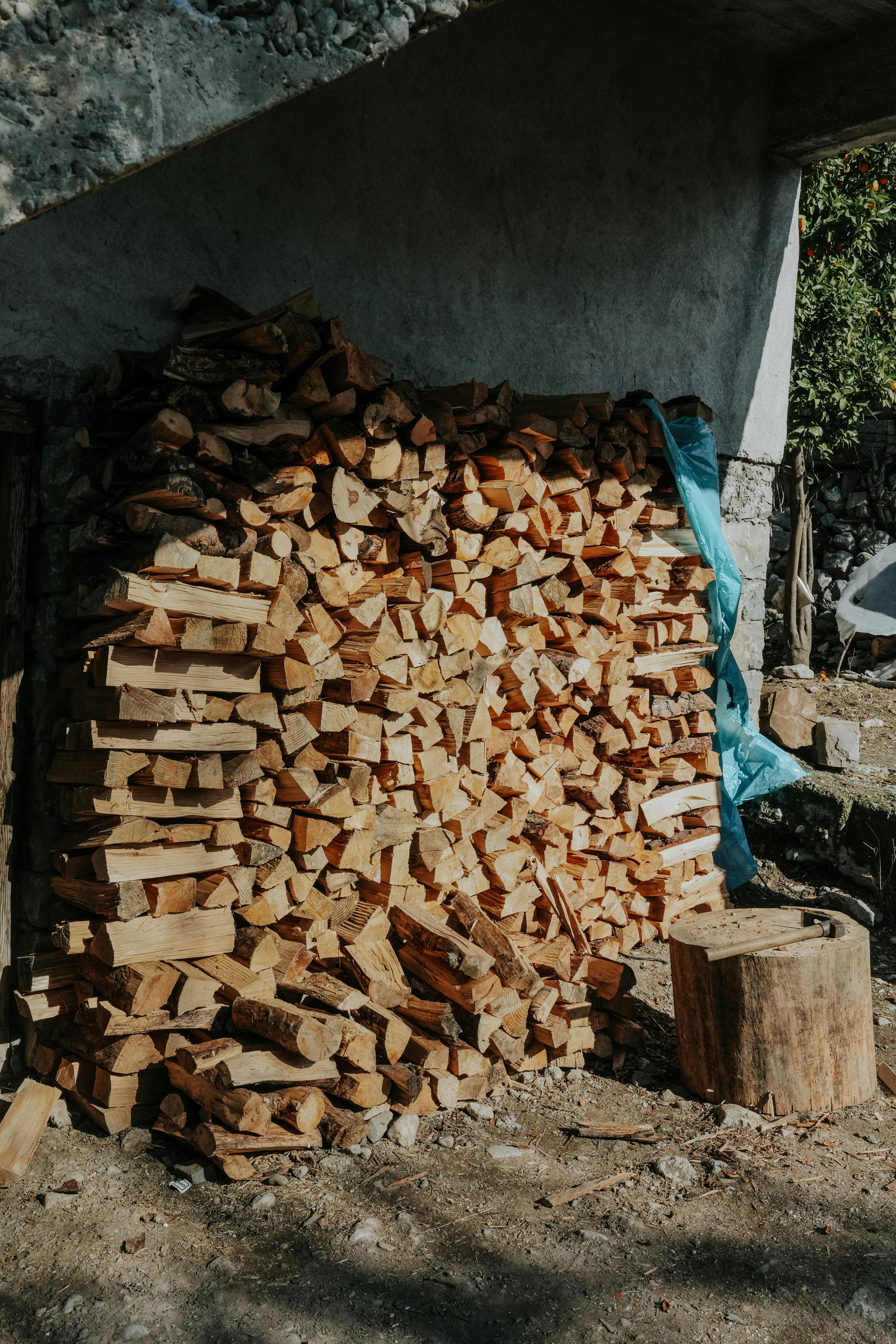 Stack of dry logs in countryside · Free Stock Photo