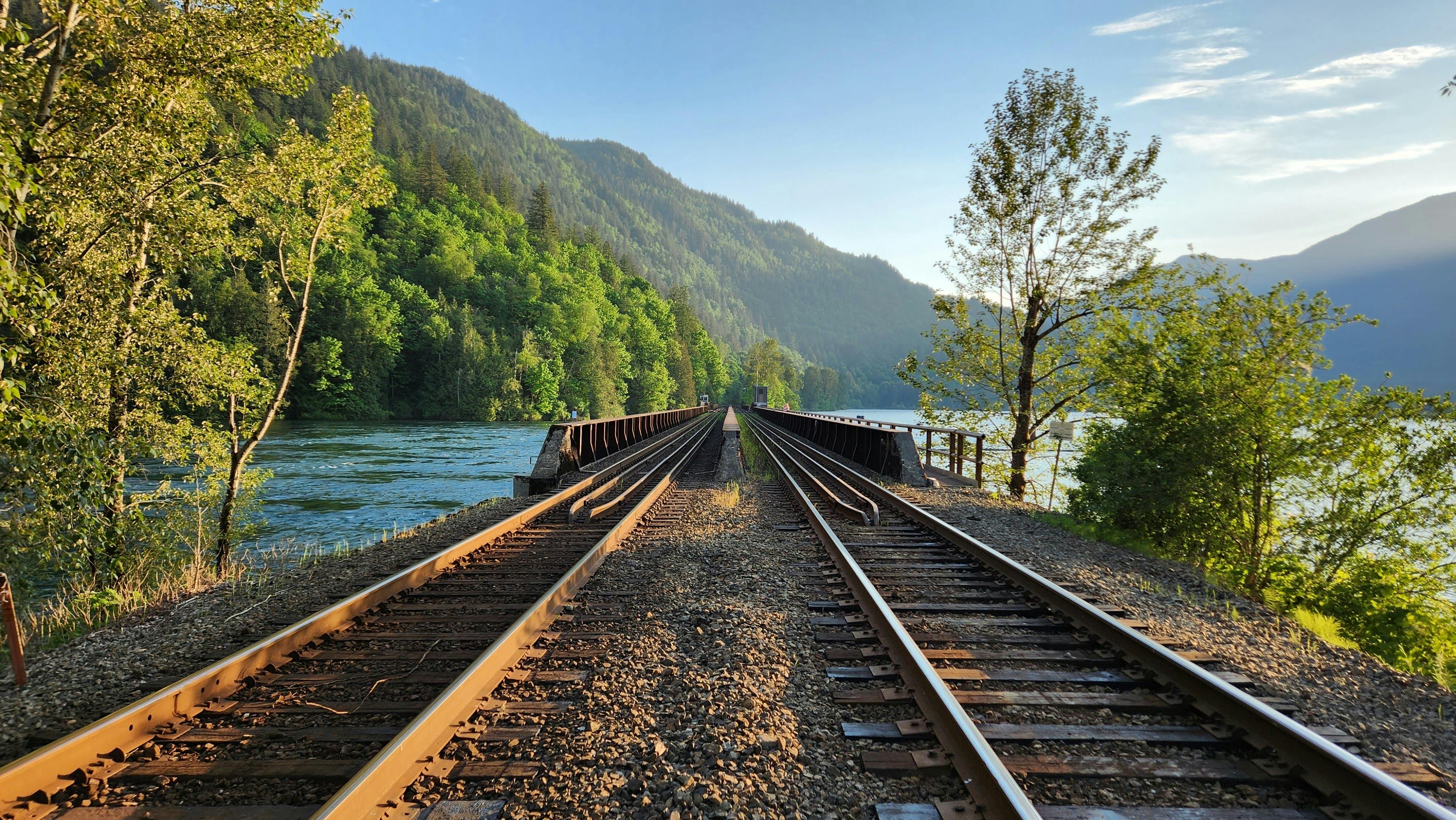 Forest Tracks Bridge Photos, Download The BEST Free Forest Tracks ...