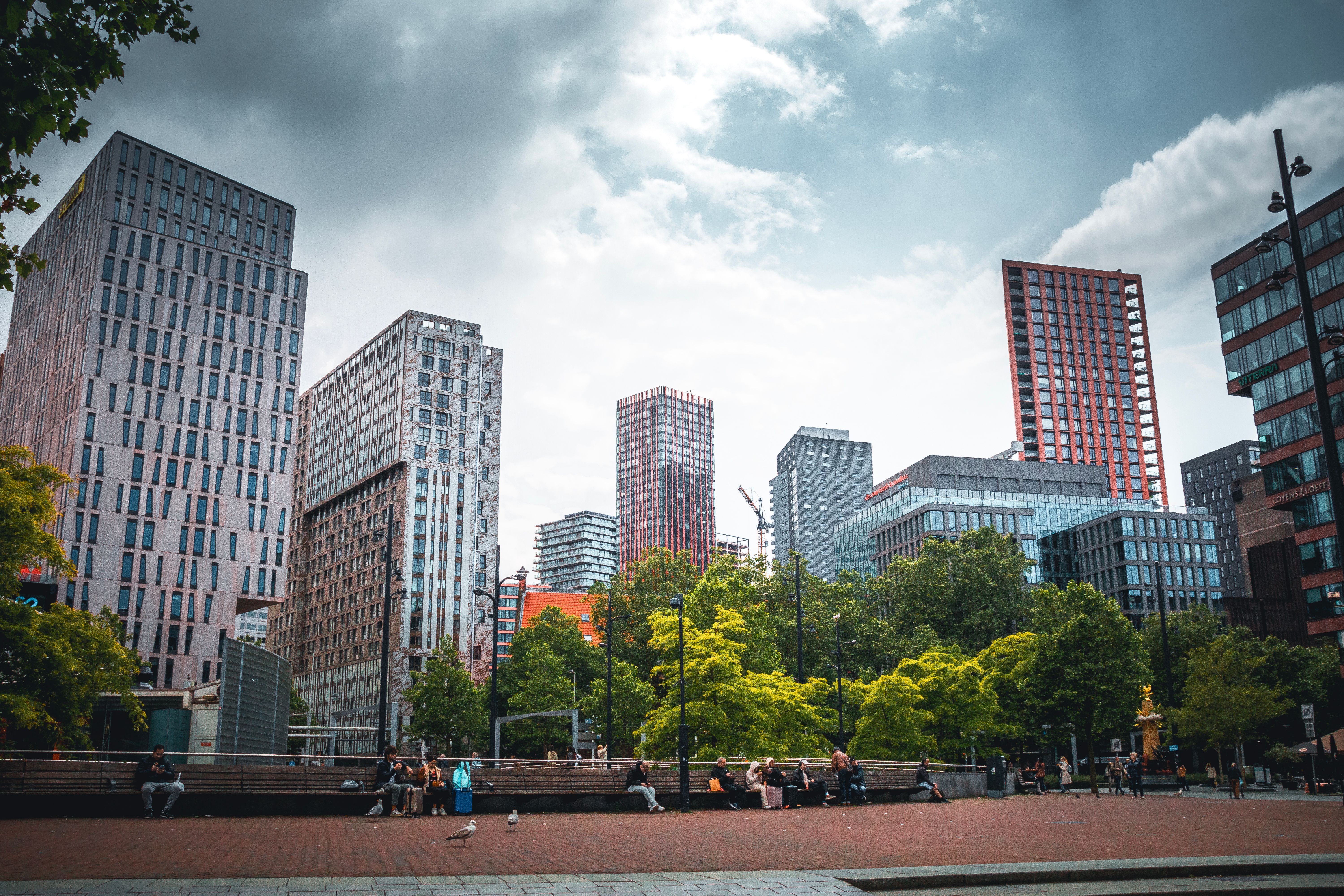 Modern Skyscrapers in Rotterdam Cityscape · Free Stock Photo