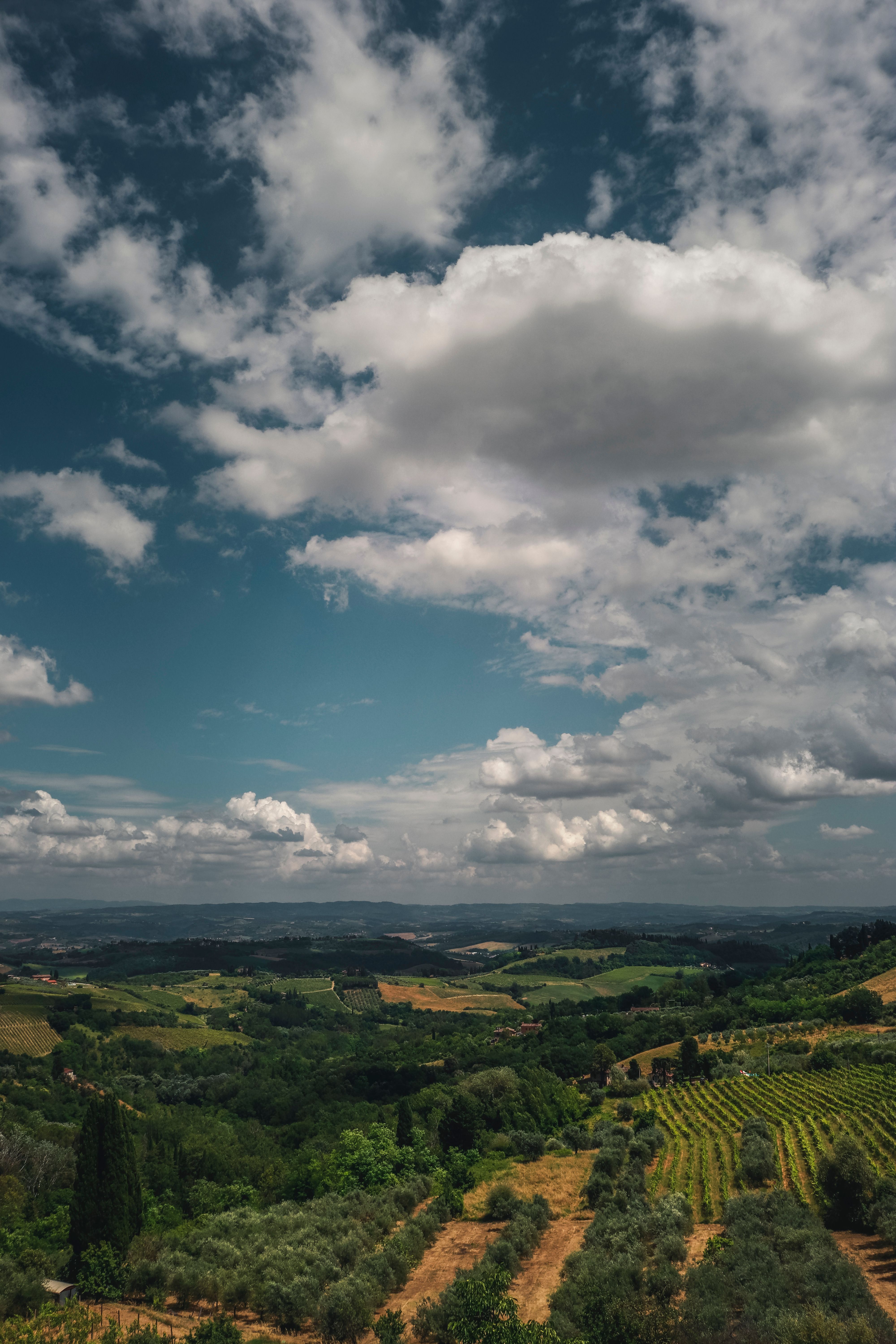 Vibrant Landscape of Tuscany Hills Under Blue Sky · Free Stock Photo