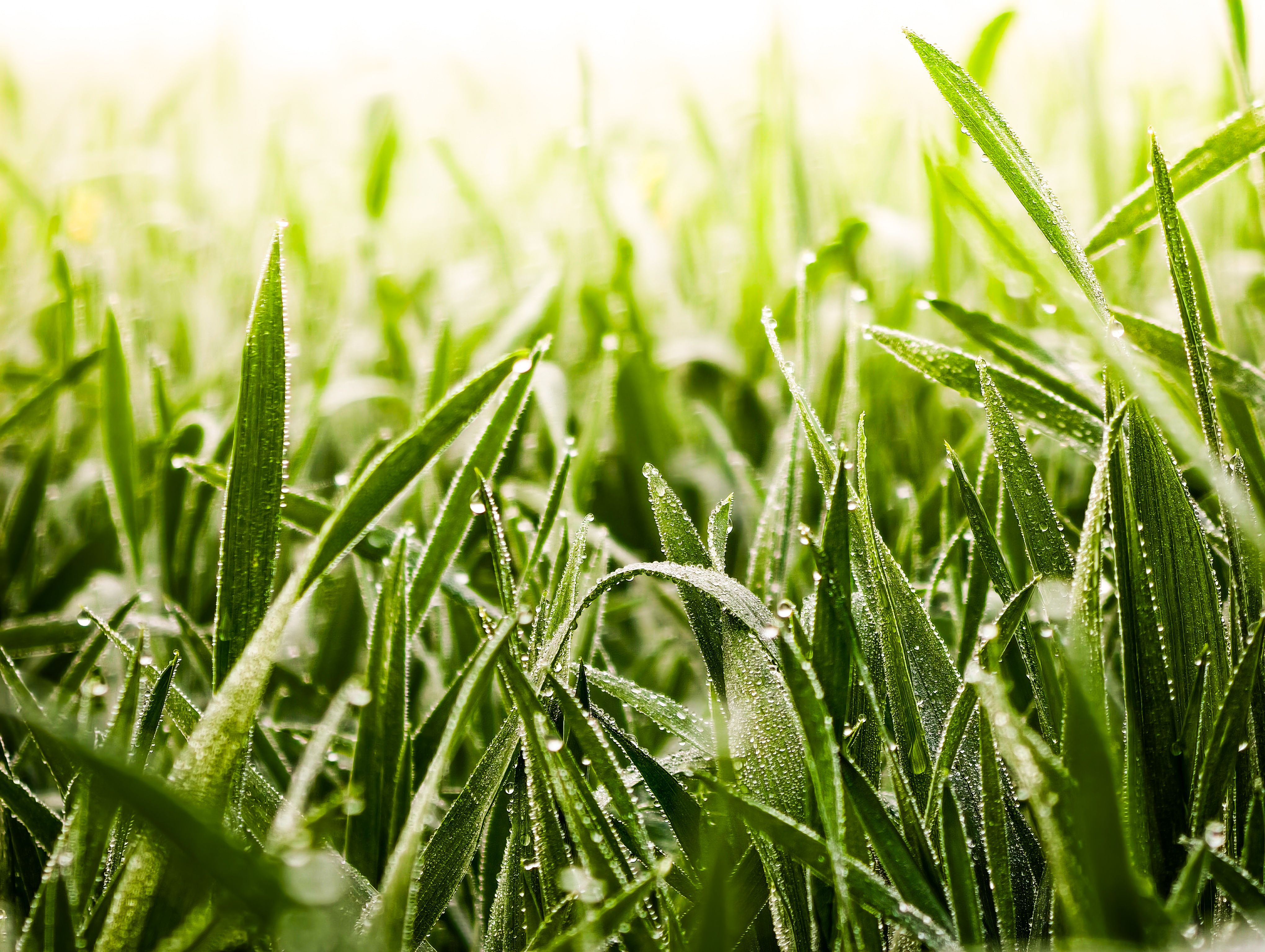 Seasonal Texture Photos, Download The BEST Free Seasonal Texture Stock ...