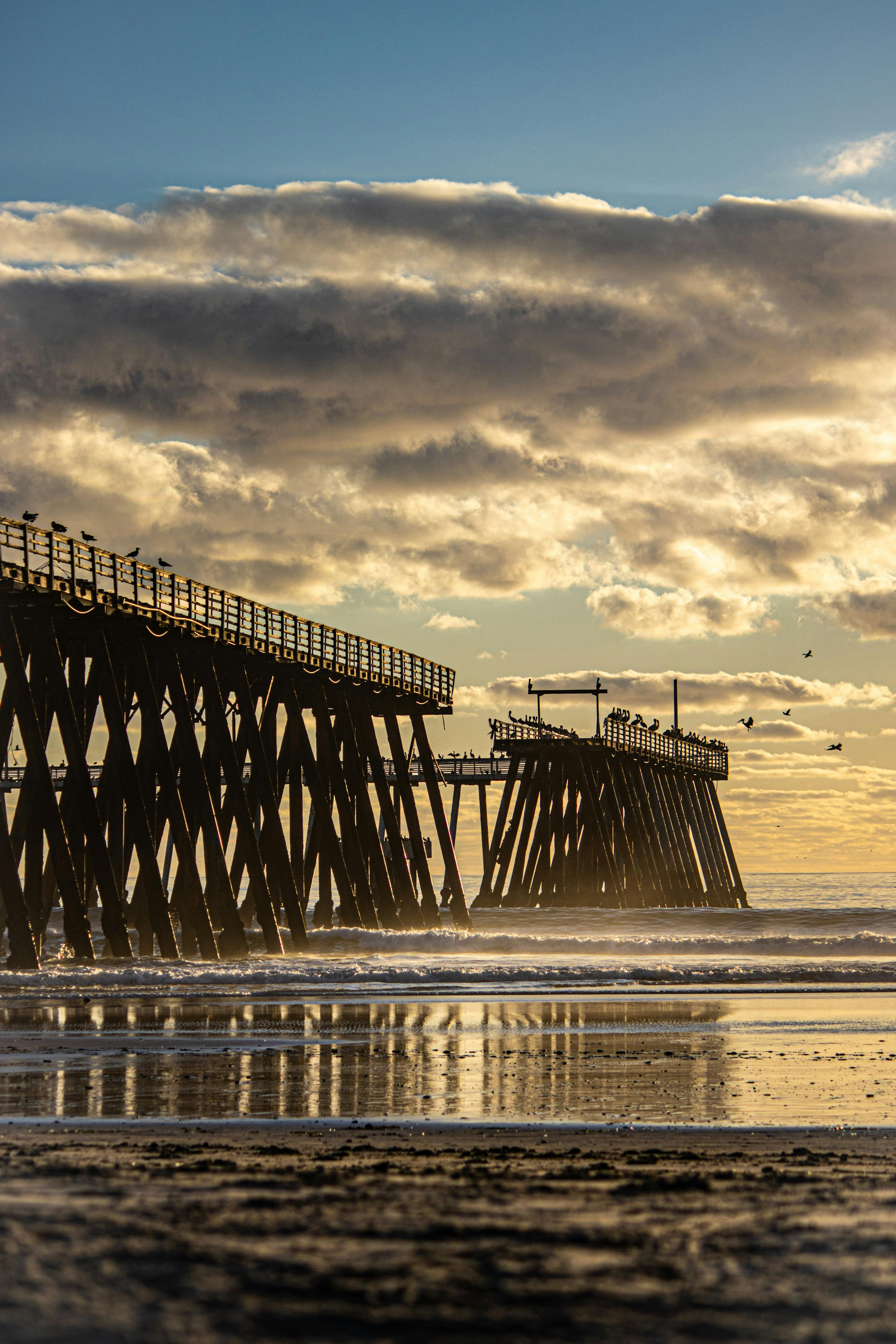 Mar Photos, Download The BEST Free Mar Stock Photos & HD Images