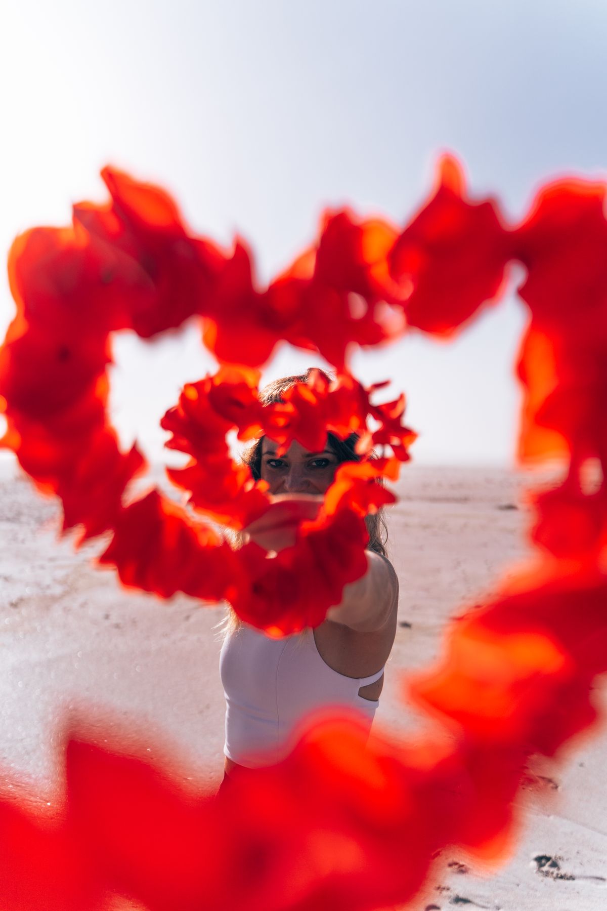 Color: Red Photos, Download The BEST Free Color: Red Stock Photos & HD ...