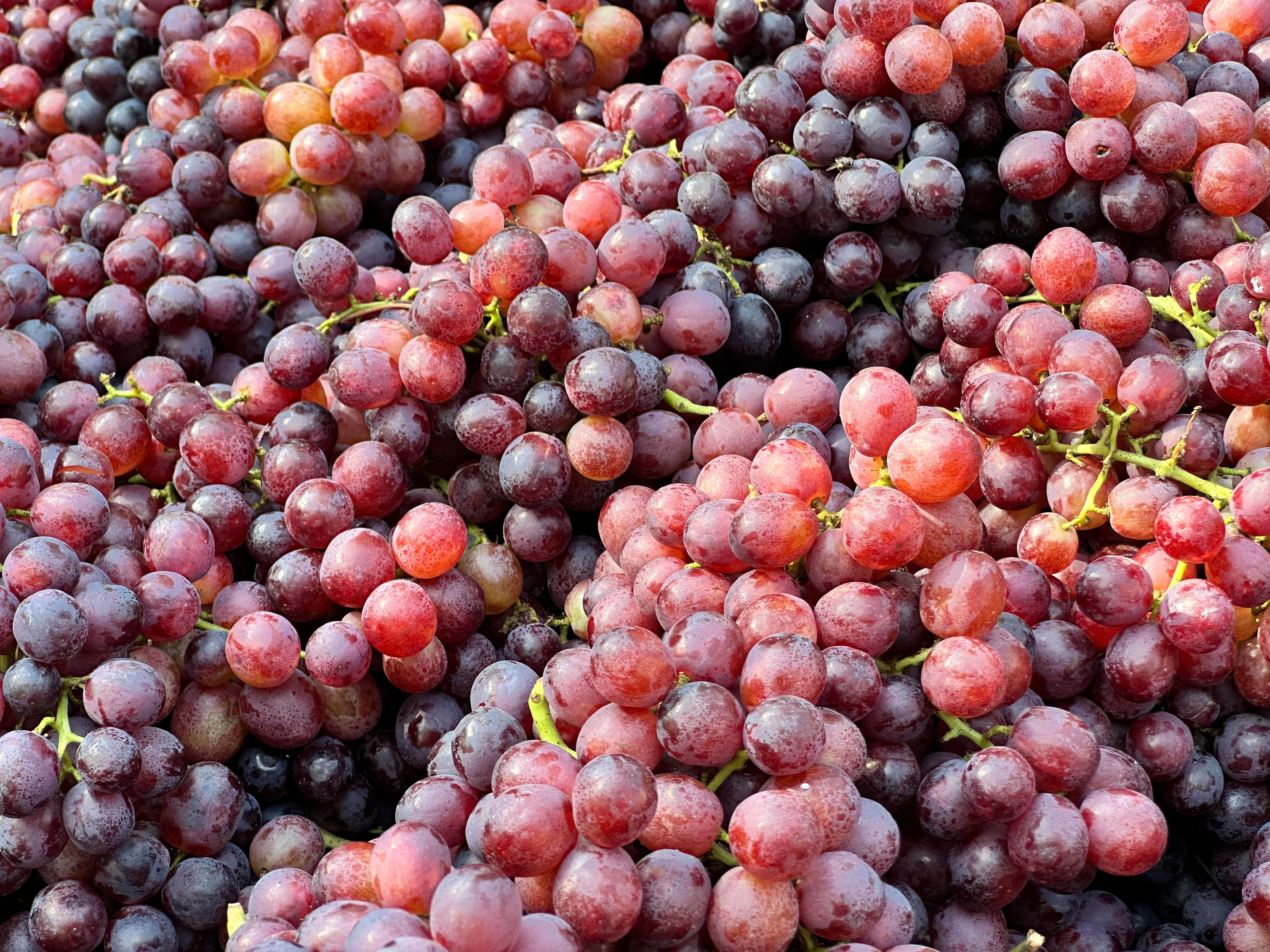 Fresh Red Grapes in Abundance at Market · Free Stock Photo