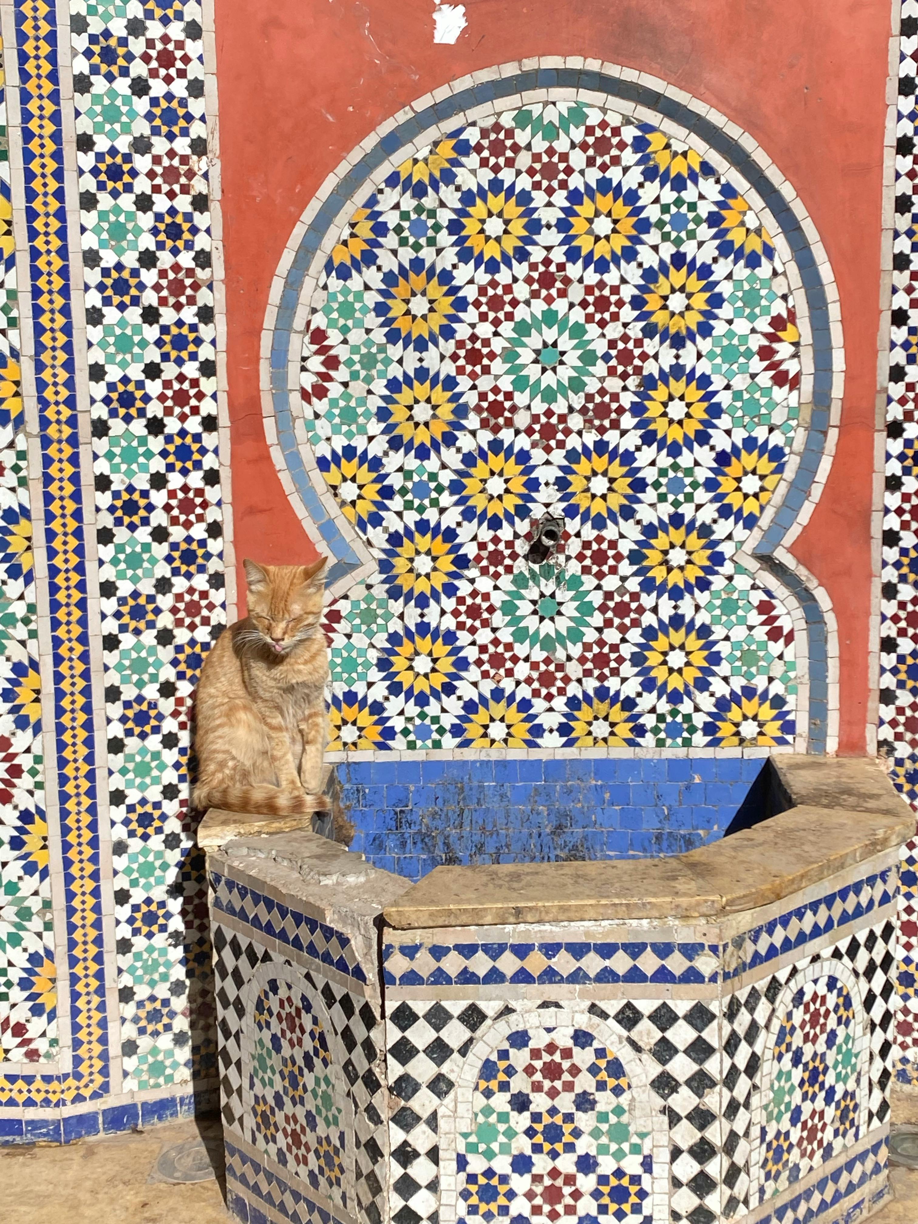 Mosaïque Marocaine Avec Chat Près D'une Fontaine Traditionnelle · Photo ...