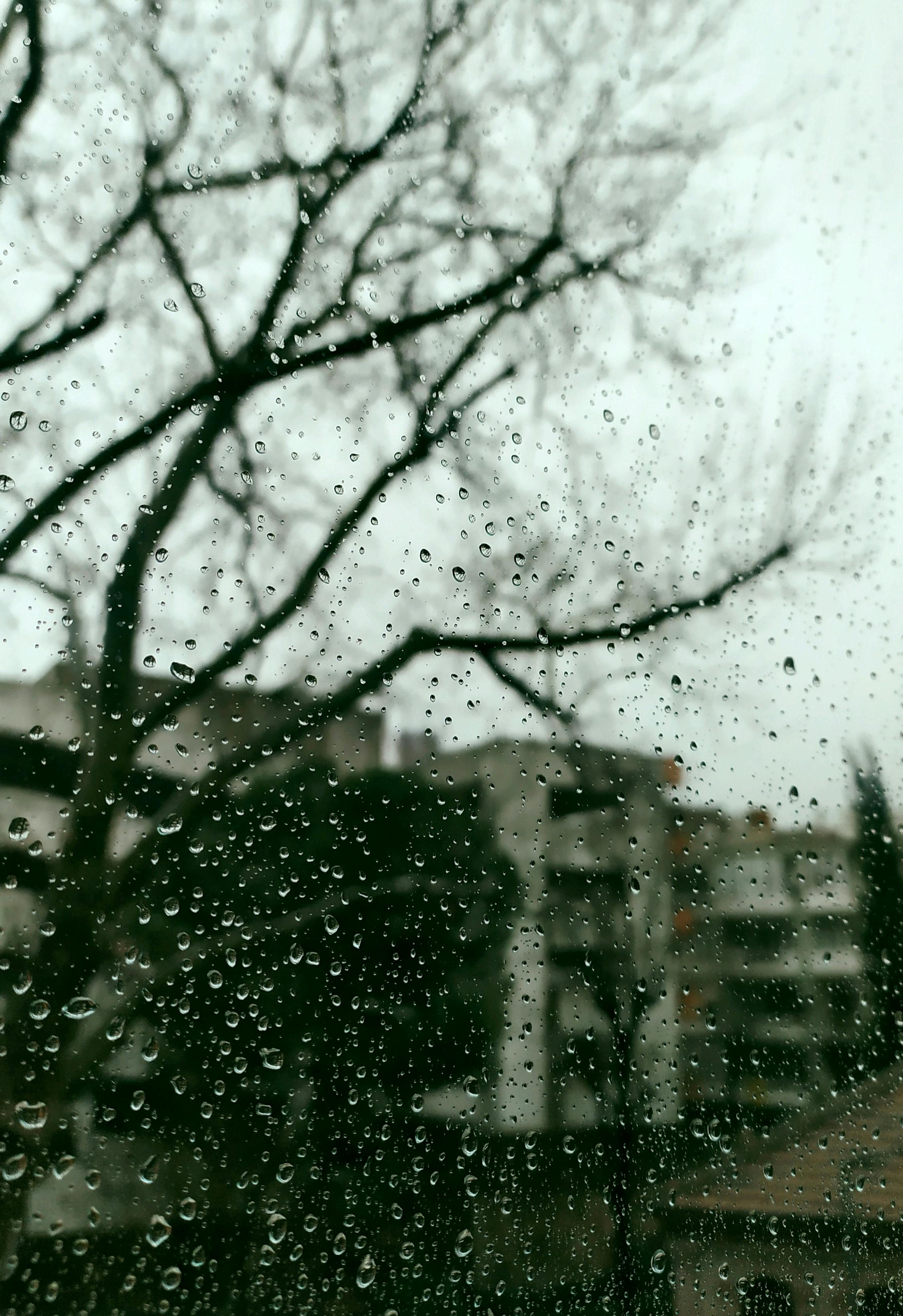 Rainy Day View Through Window with Water Droplets · Free Stock Photo