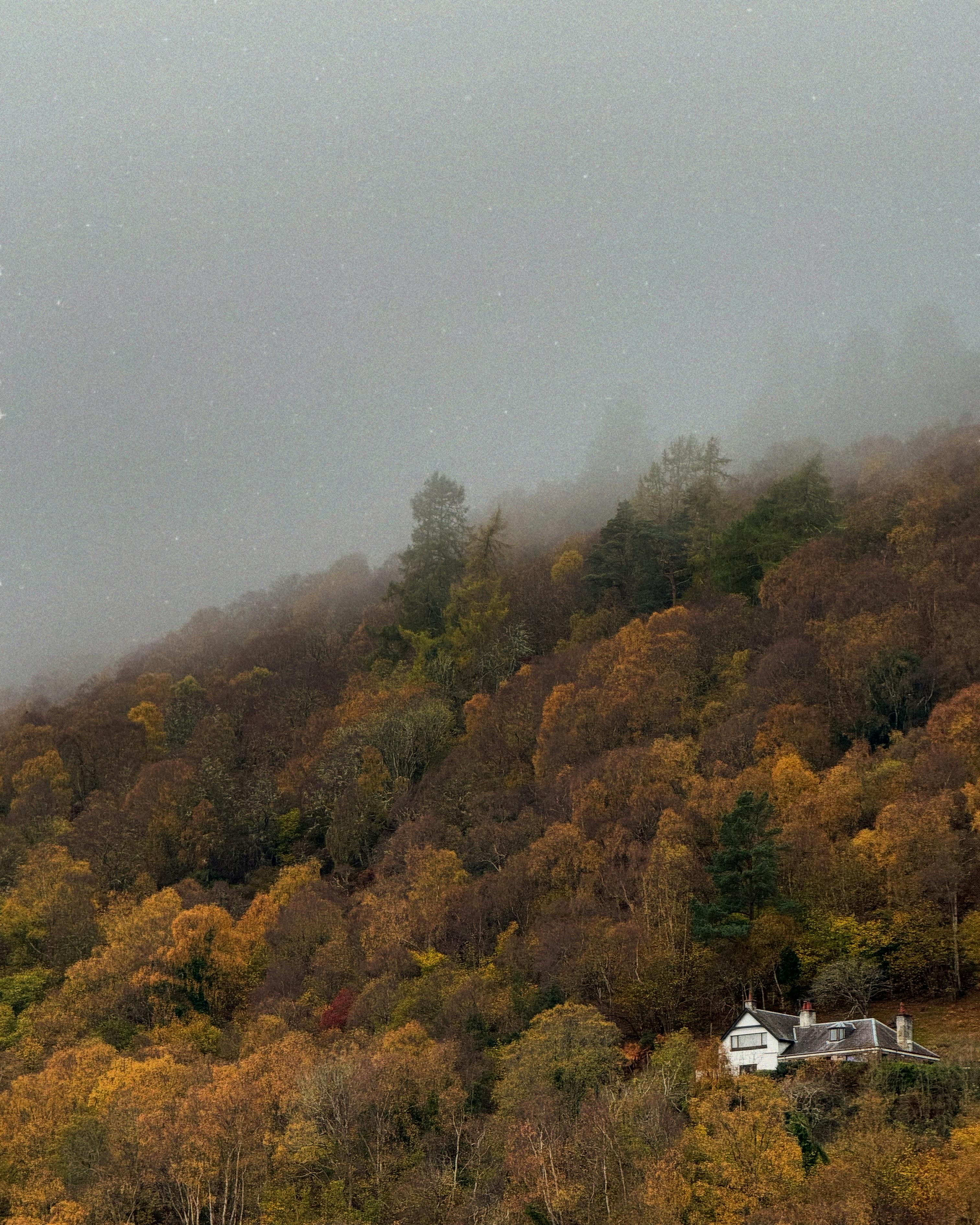 Foggy Autumn Landscape with Lone House · Free Stock Photo