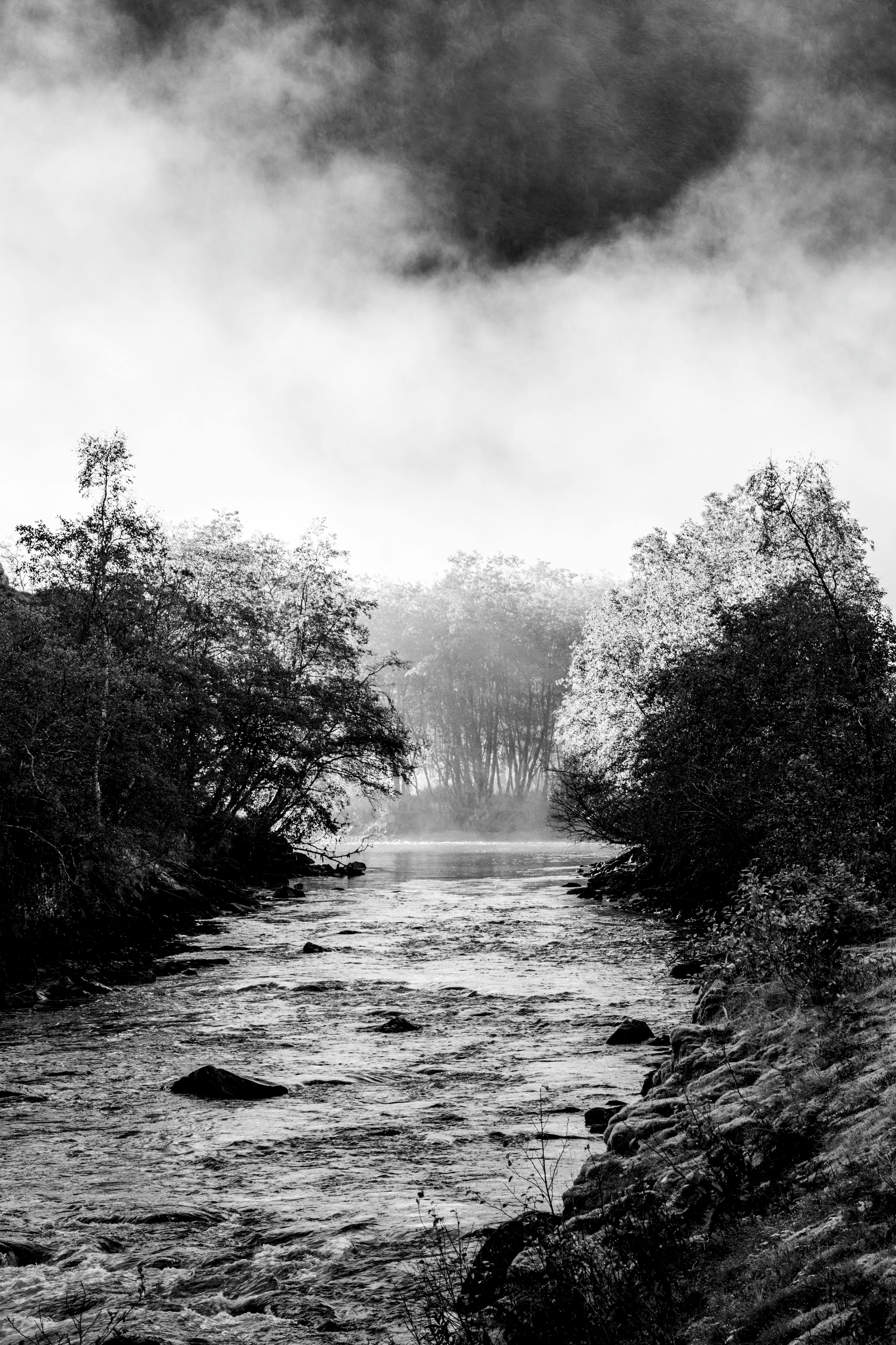 Serene Black and White River Landscape · Free Stock Photo