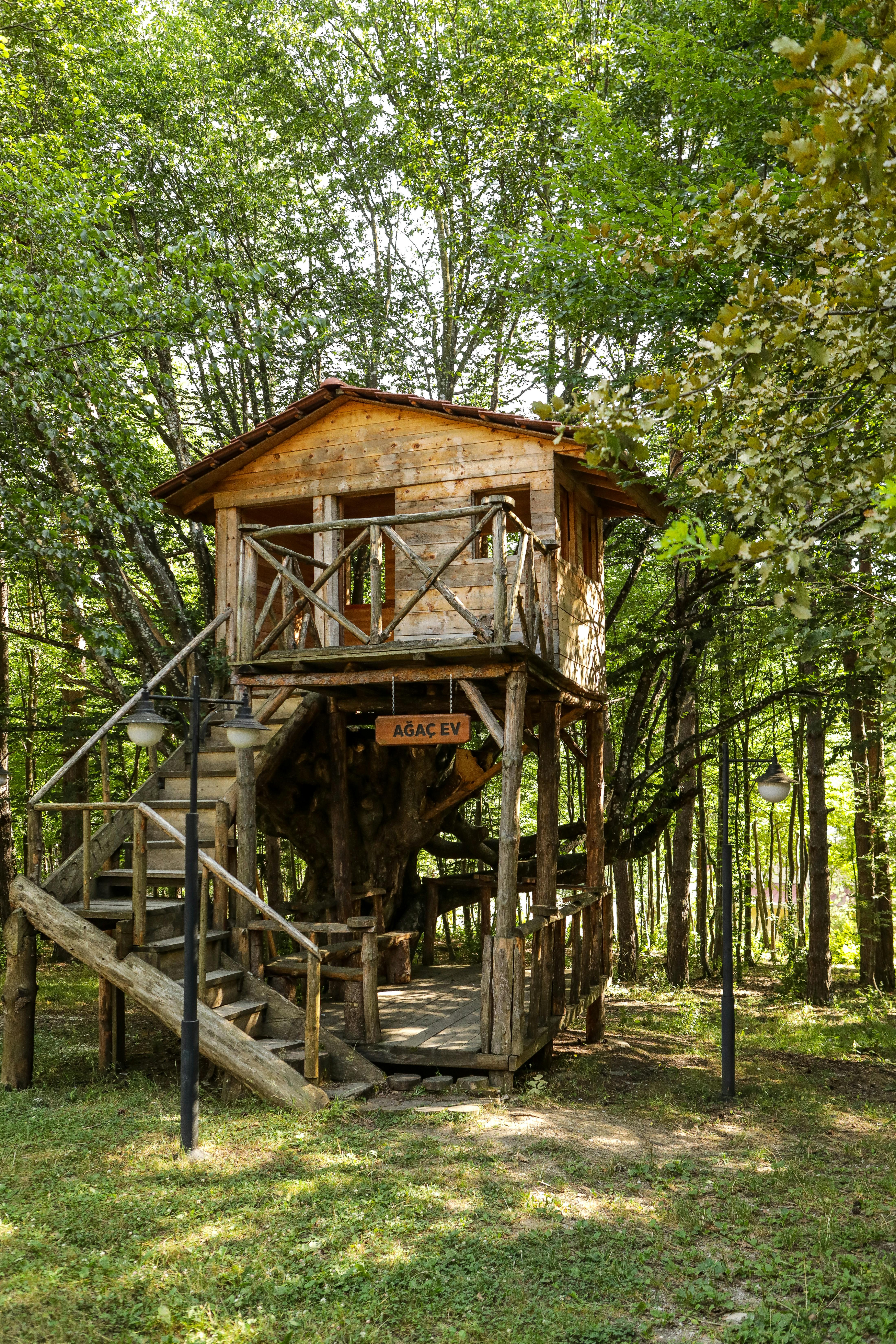 Charming Wooden Treehouse in Bolu Forest · Free Stock Photo