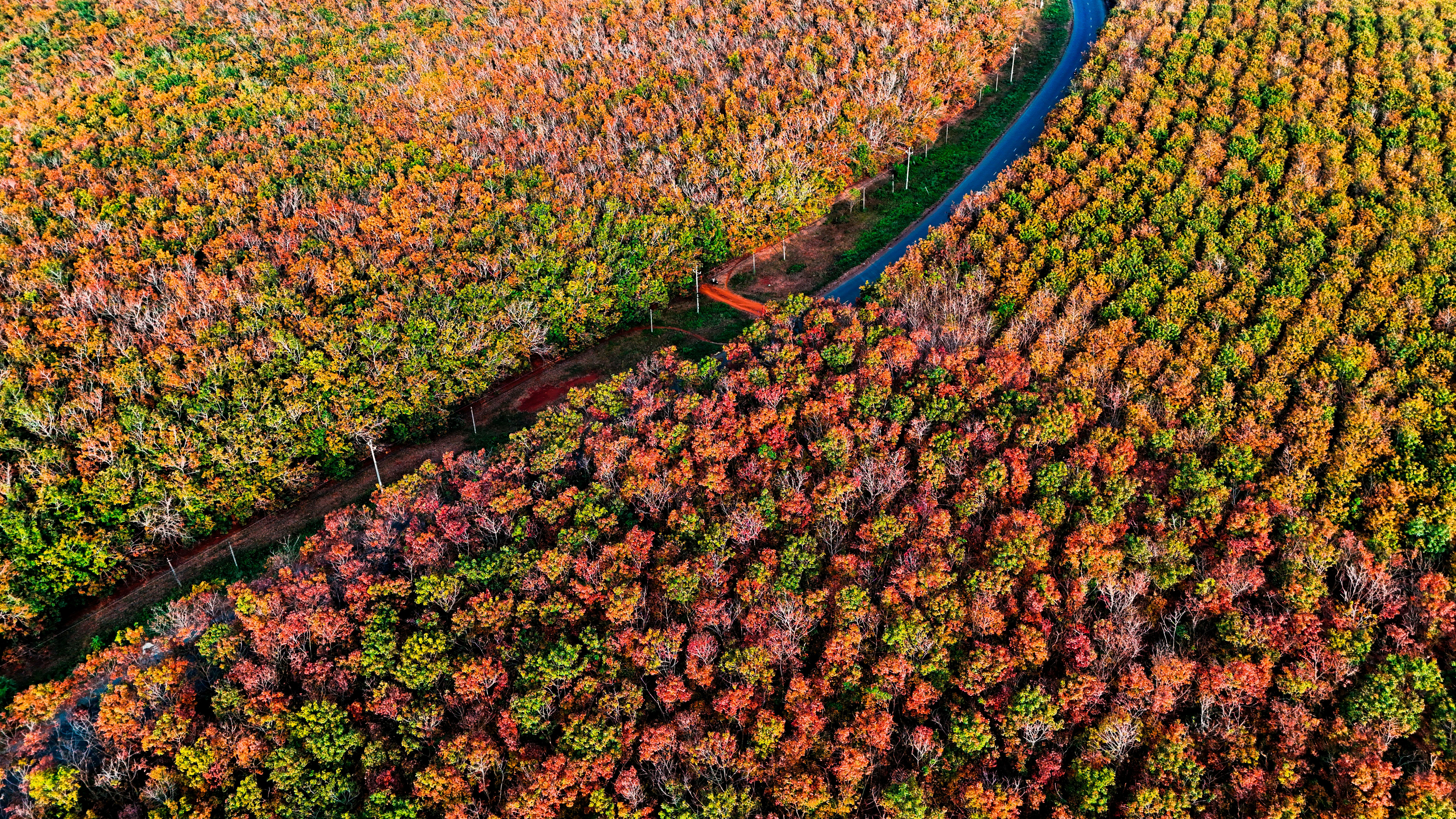 Ariel View Road Photos, Download The BEST Free Ariel View Road Stock ...