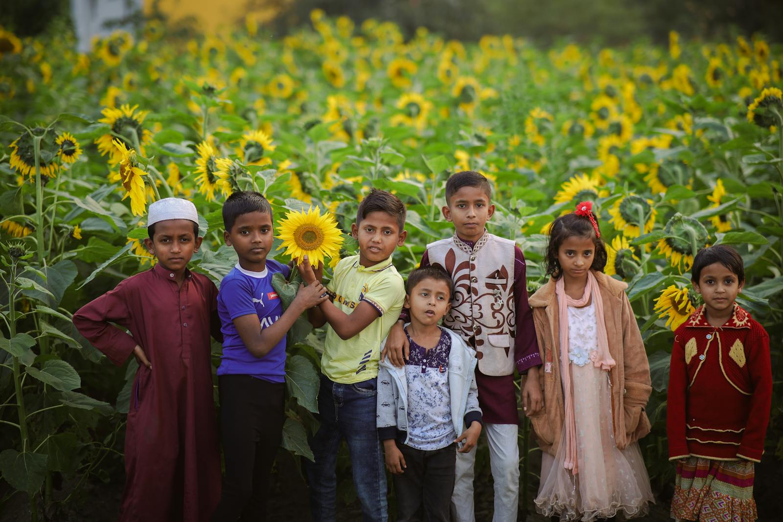 Child Nature Photos, Download The BEST Free Child Nature Stock Photos ...