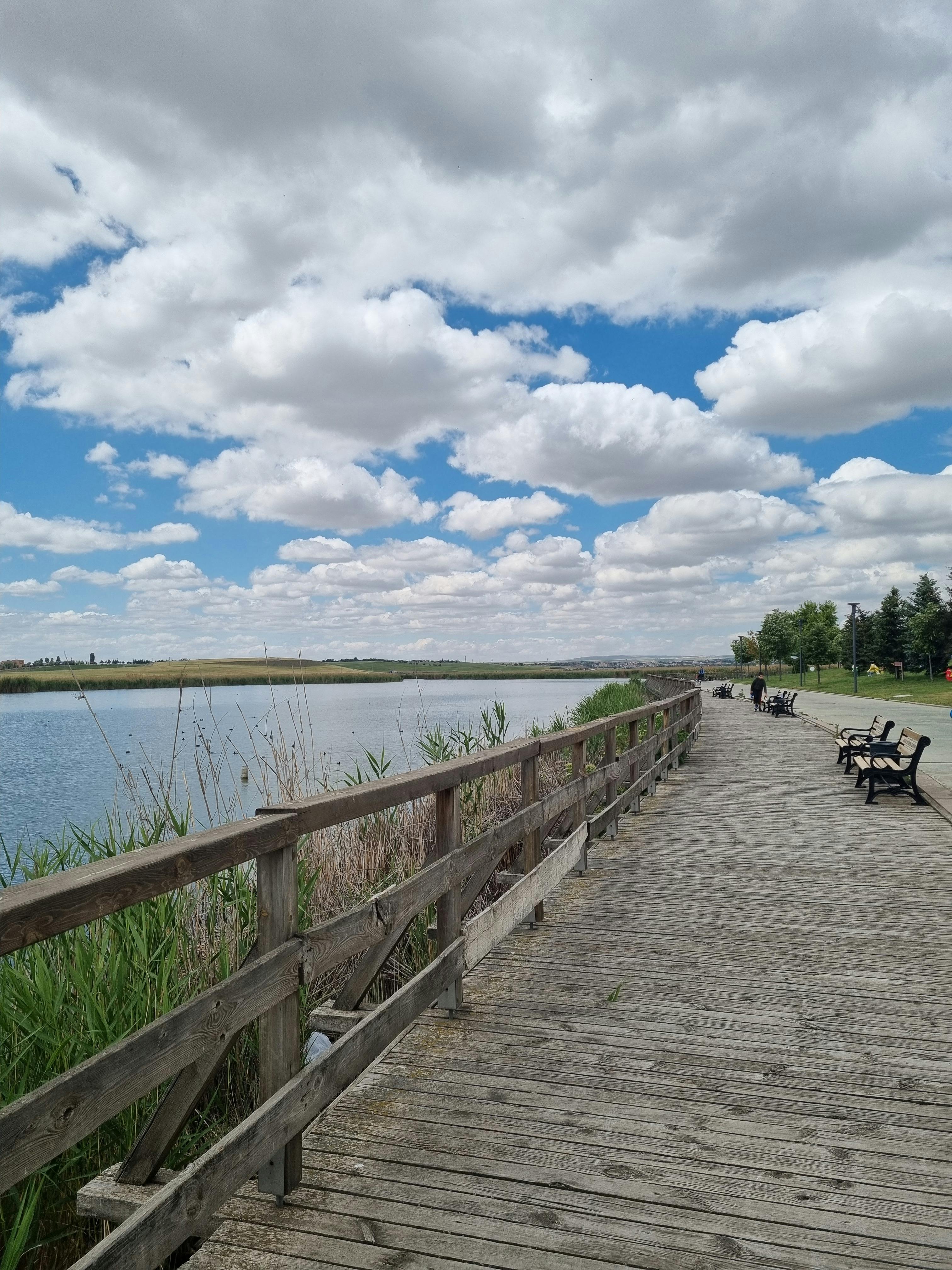 Scenic Lakeside Boardwalk in Gölbaşı Park · Free Stock Photo