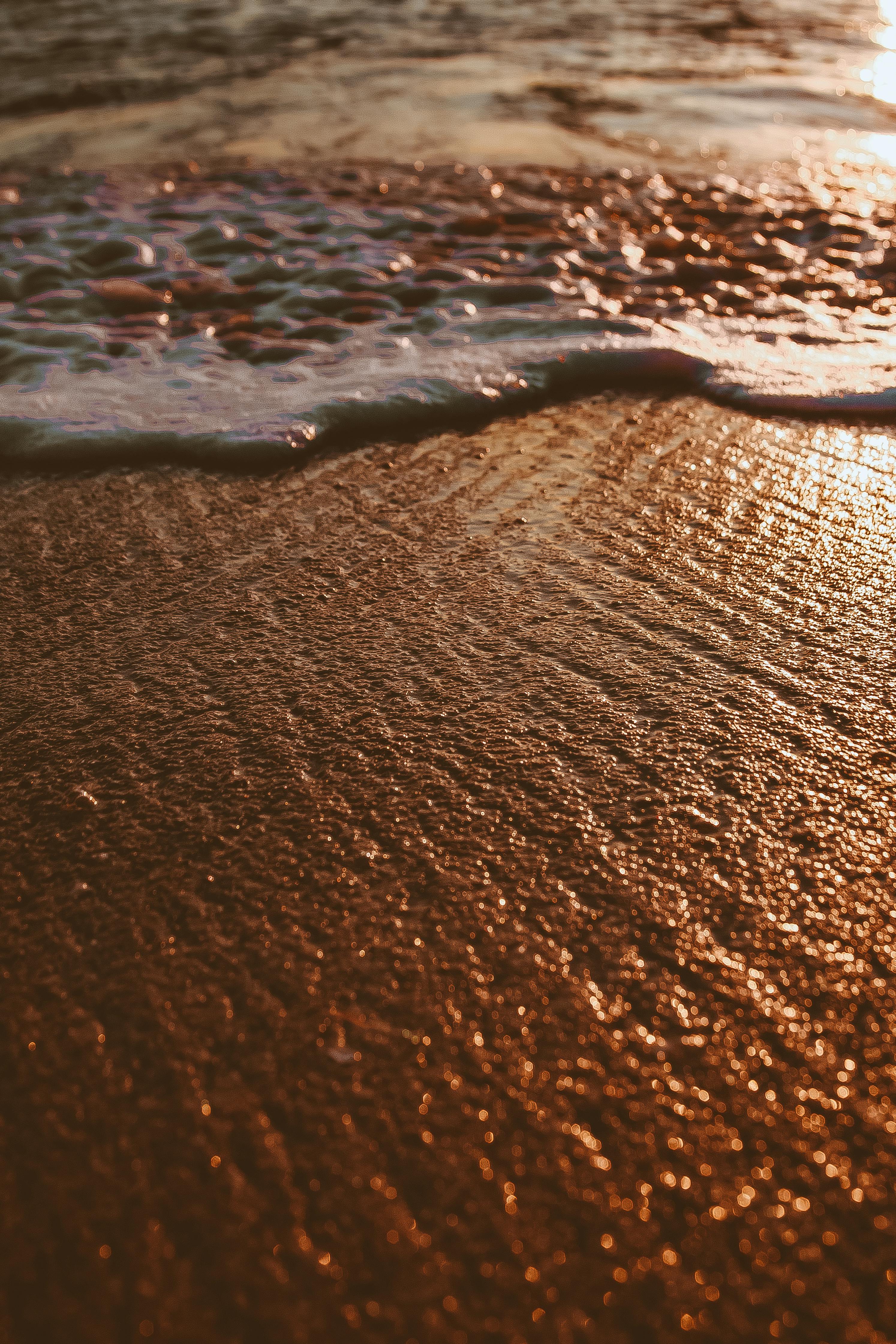 Brown Seashore · Free Stock Photo