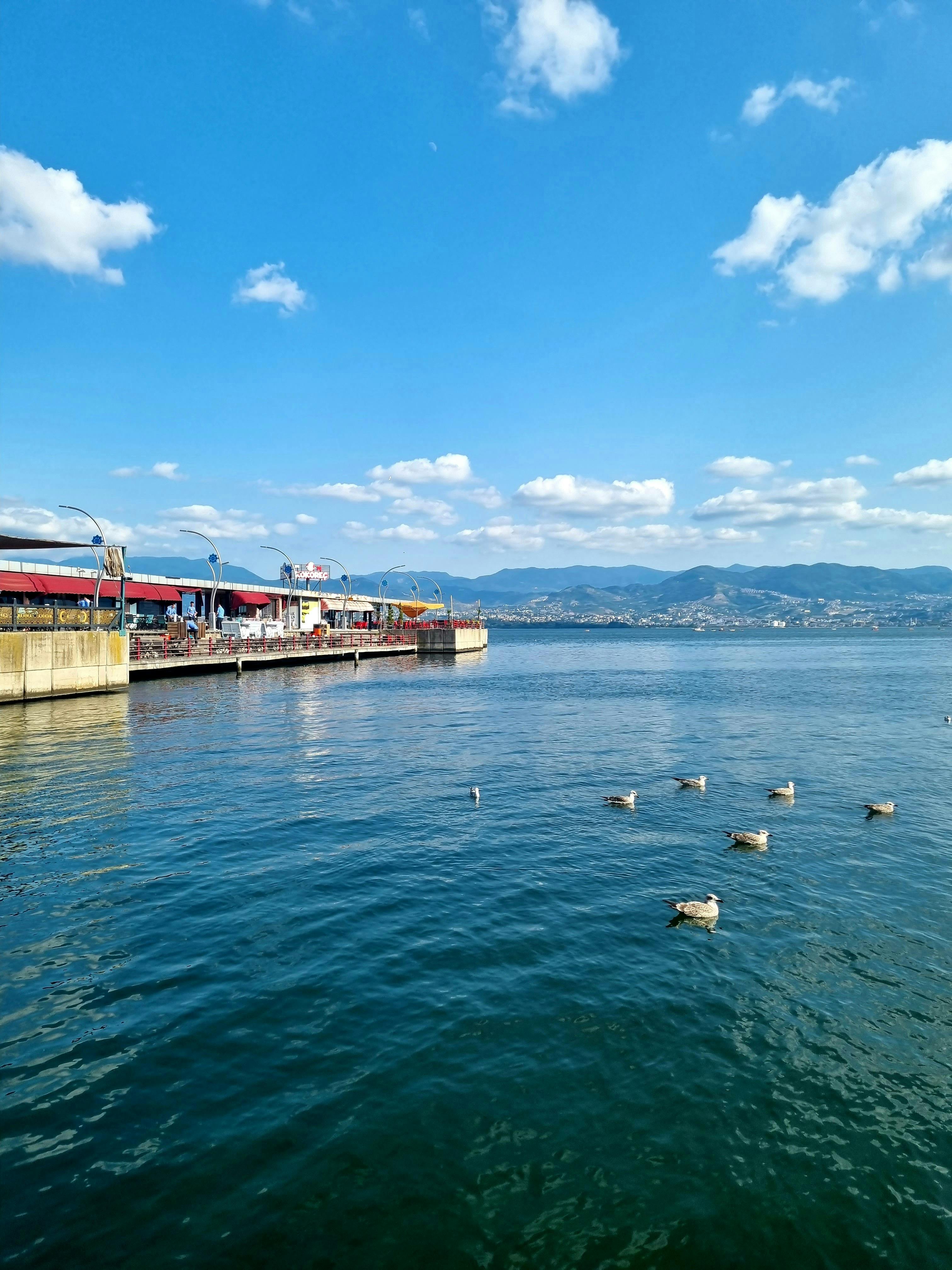 Scenic Waterfront View in İzmit, Türkiye · Free Stock Photo