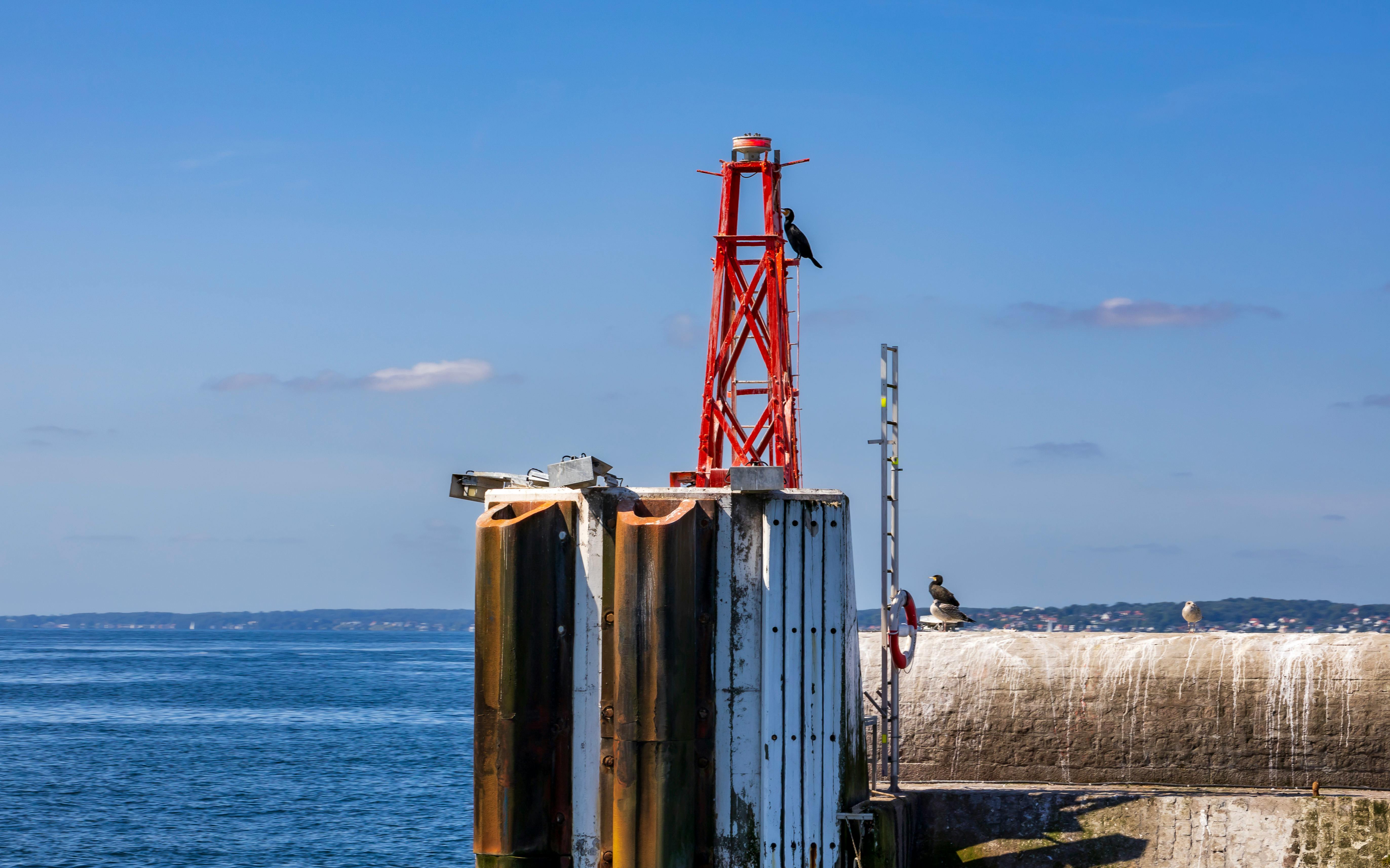 Allblack+Imgaes Photos, Download The BEST Free Allblack+Imgaes Stock ...