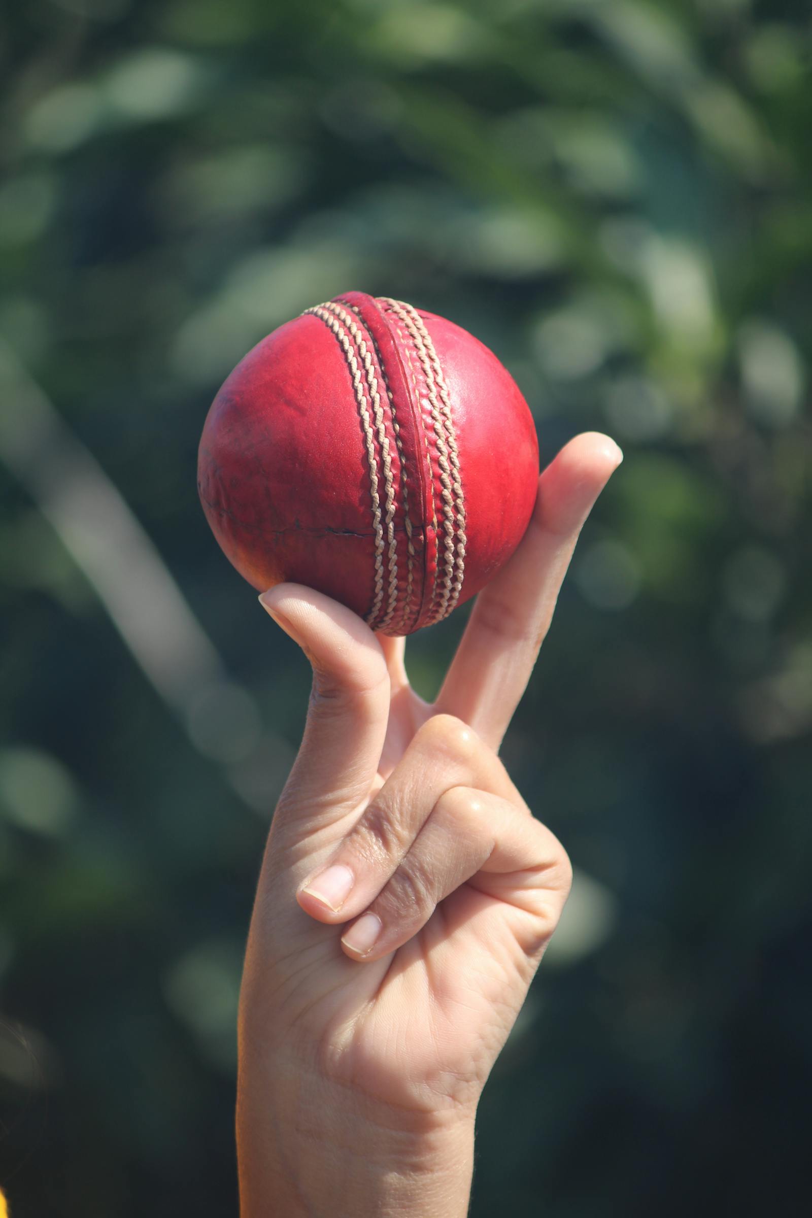 Cricket Ball Photos, Download The BEST Free Cricket Ball Stock Photos ...