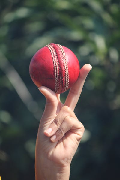 Cricket Ball Photos, Download The BEST Free Cricket Ball Stock Photos ...