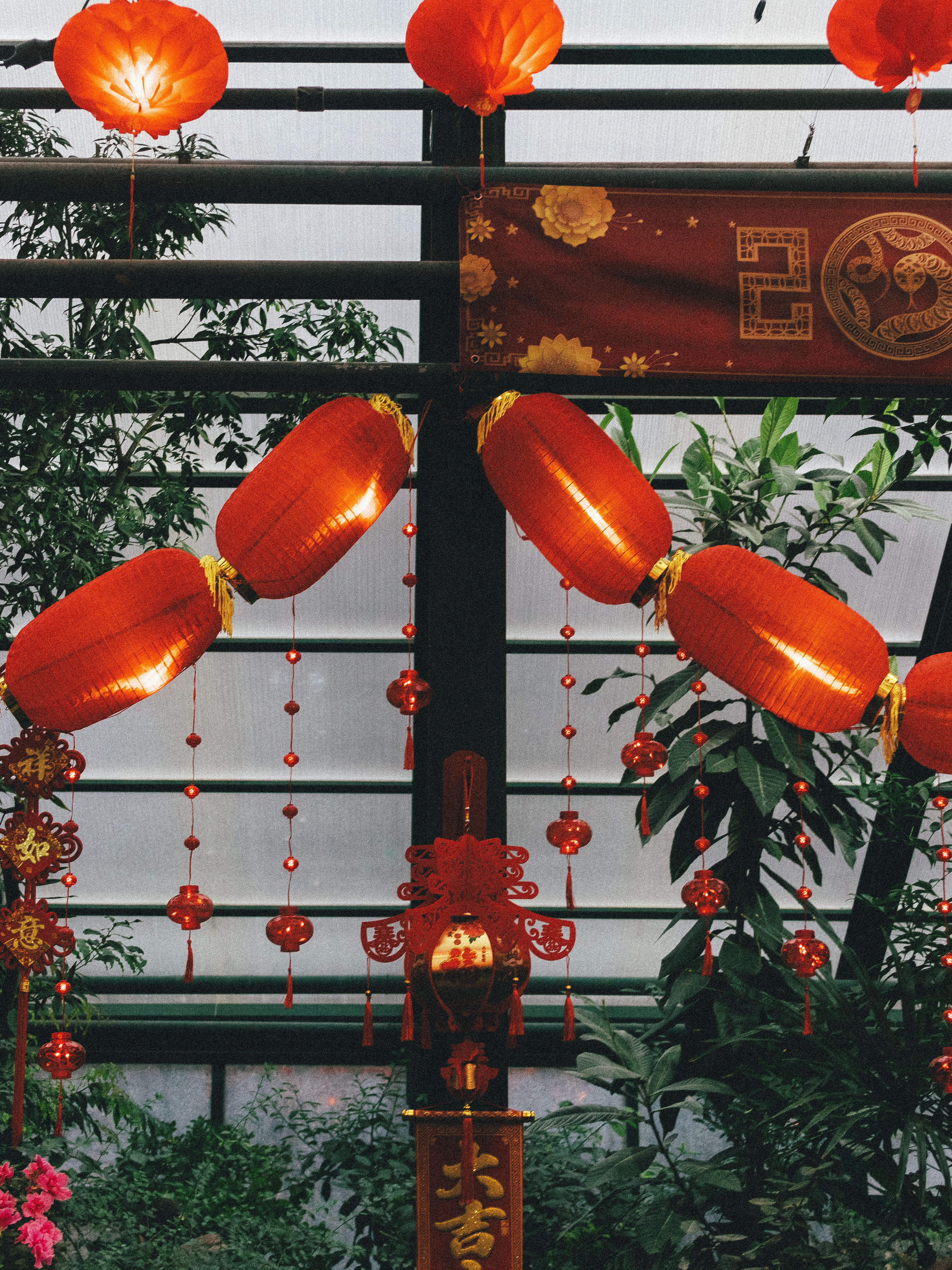 Vibrant Red Chinese Lanterns Festival Decor · Free Stock Photo