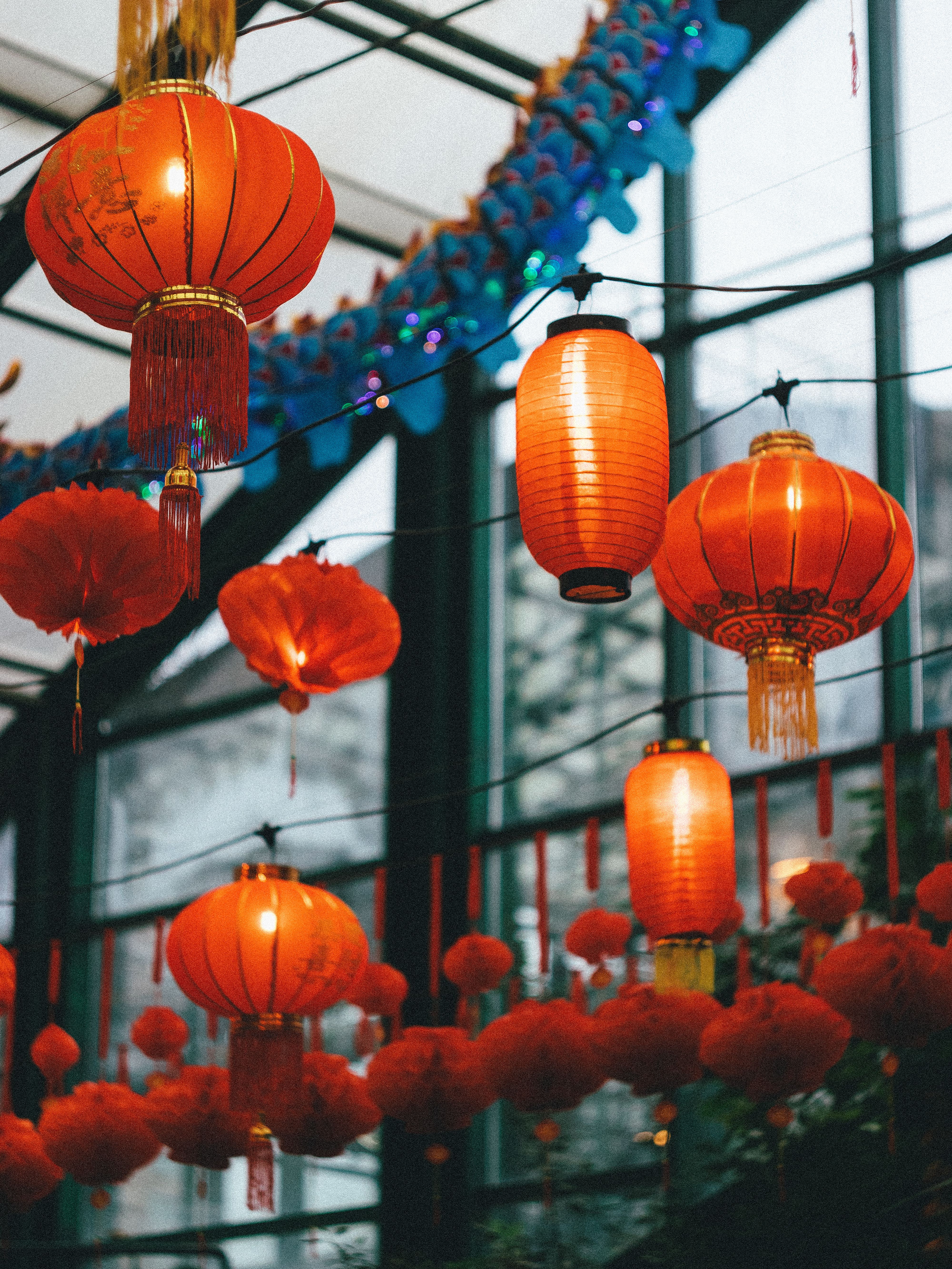 Vibrant Chinese Lanterns in Festive Indoor Display · Free Stock Photo