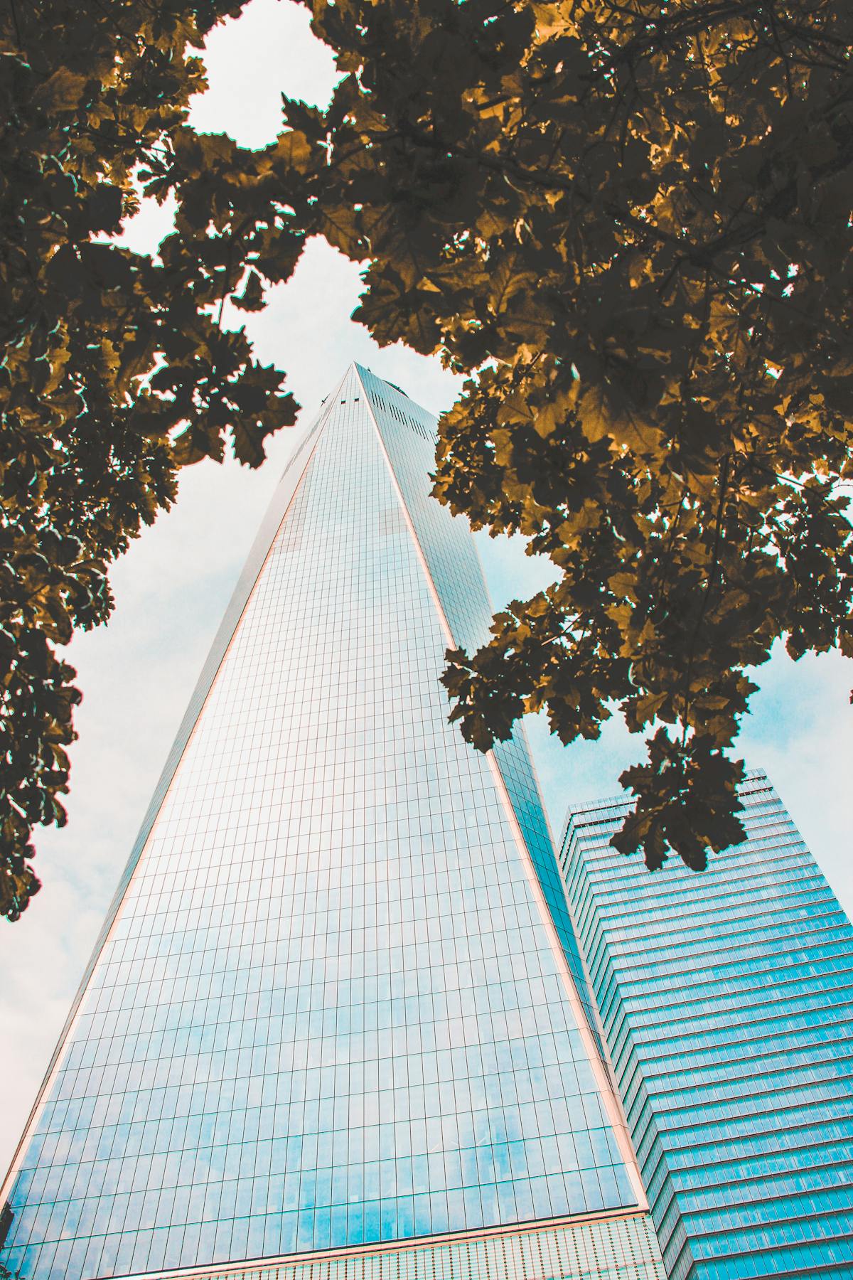 400+张最精彩的“Edifice”图片 · 100%免费下载 · Pexels素材图片