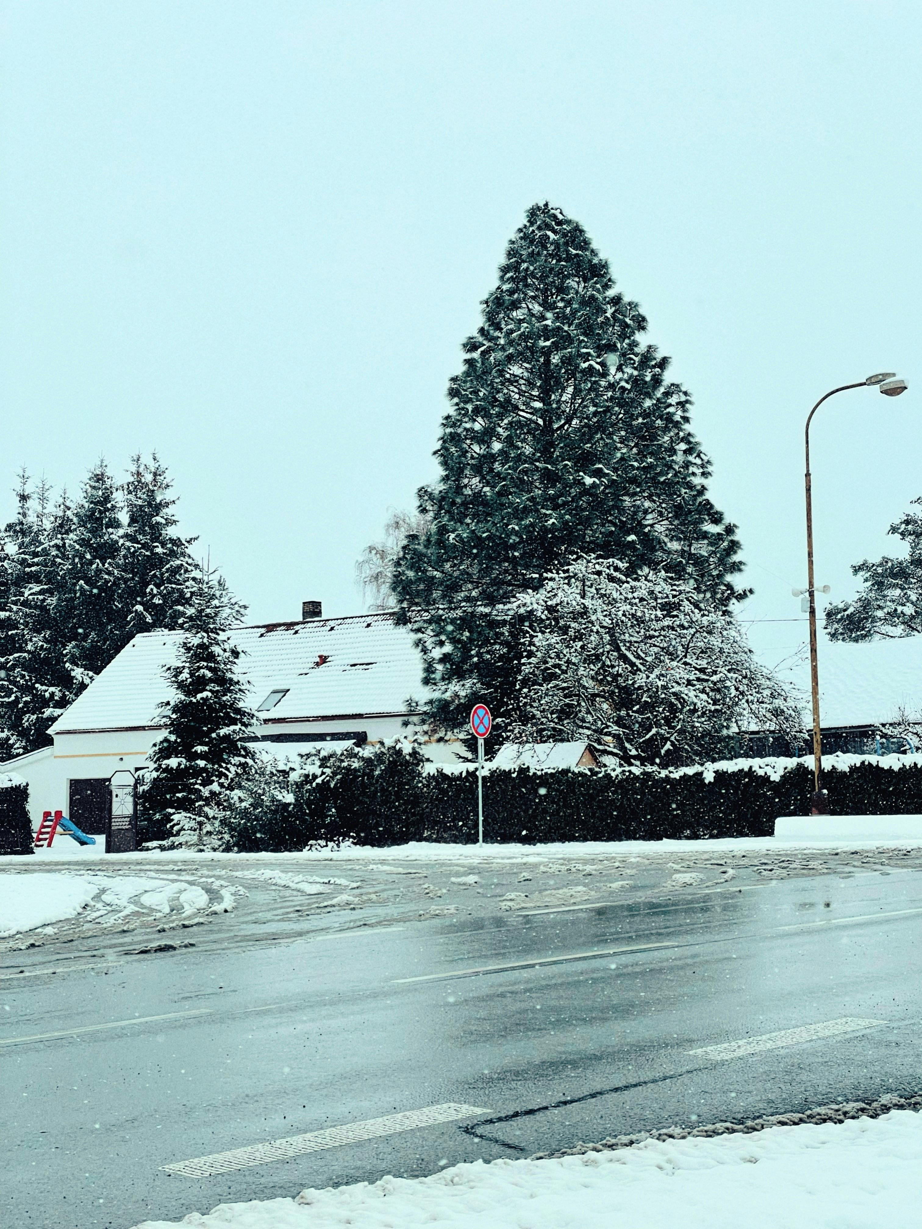 Residents Definition Photos, Download The BEST Free Residents ...