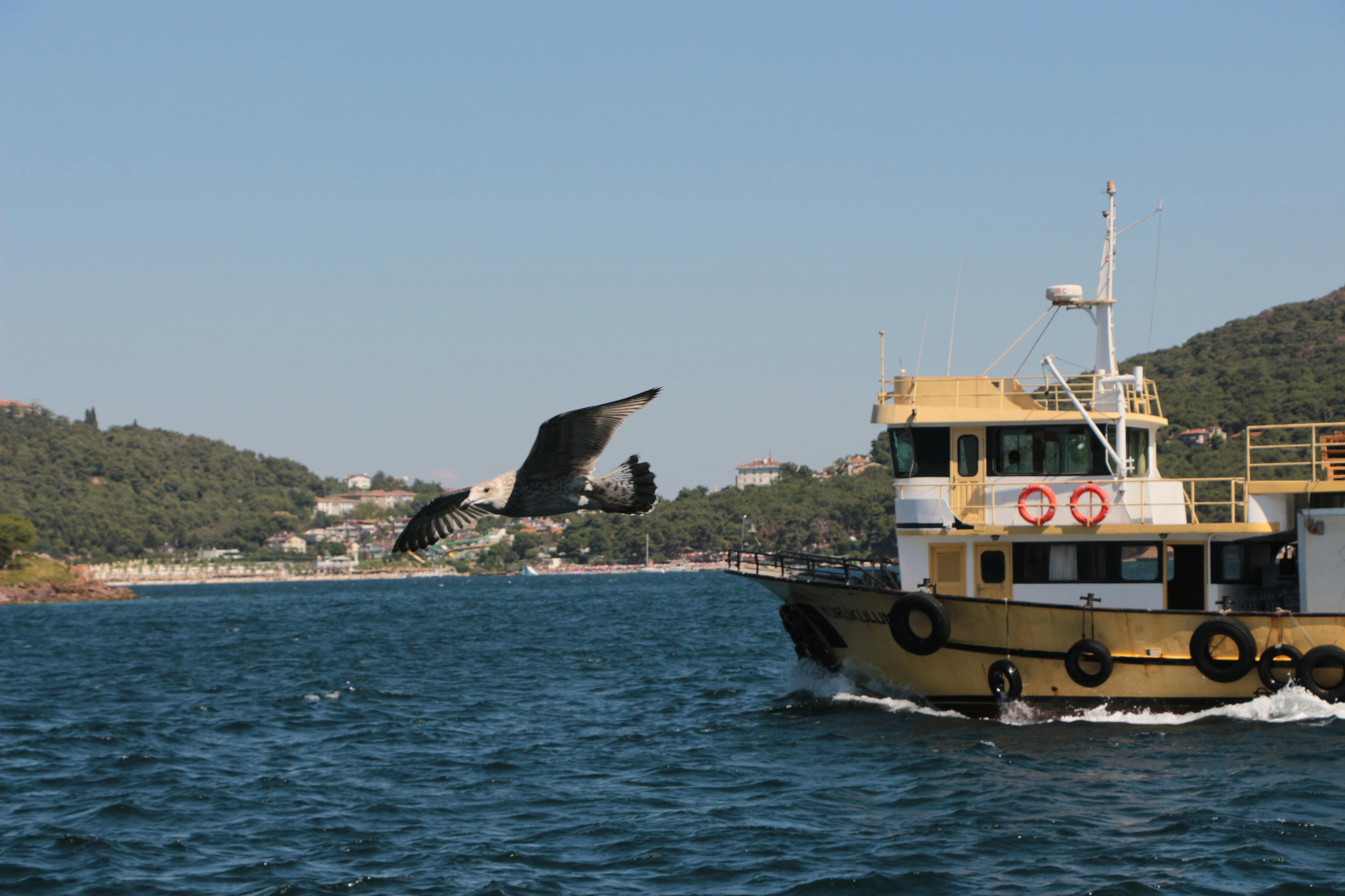 Ligne Maritime Photos, Download The BEST Free Ligne Maritime Stock ...