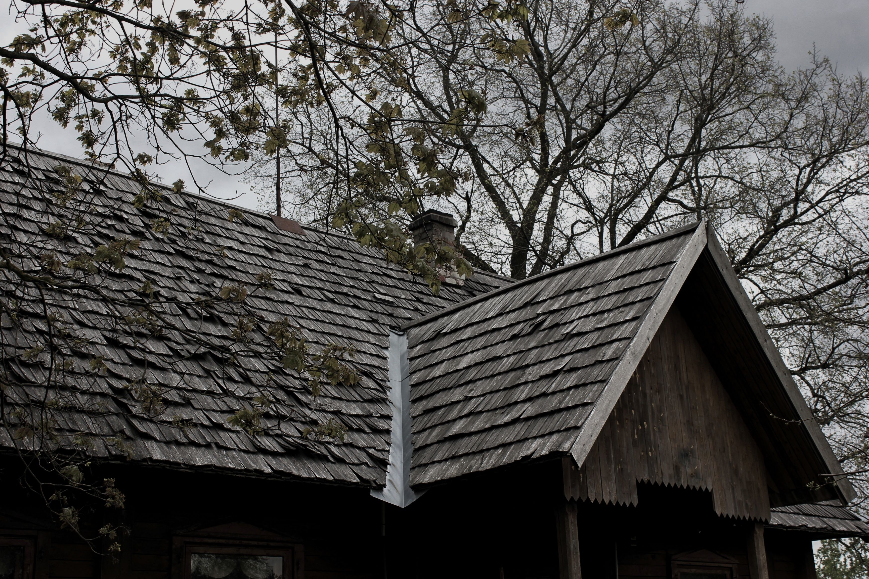 Rustic Wooden House in Polish Countryside · Free Stock Photo