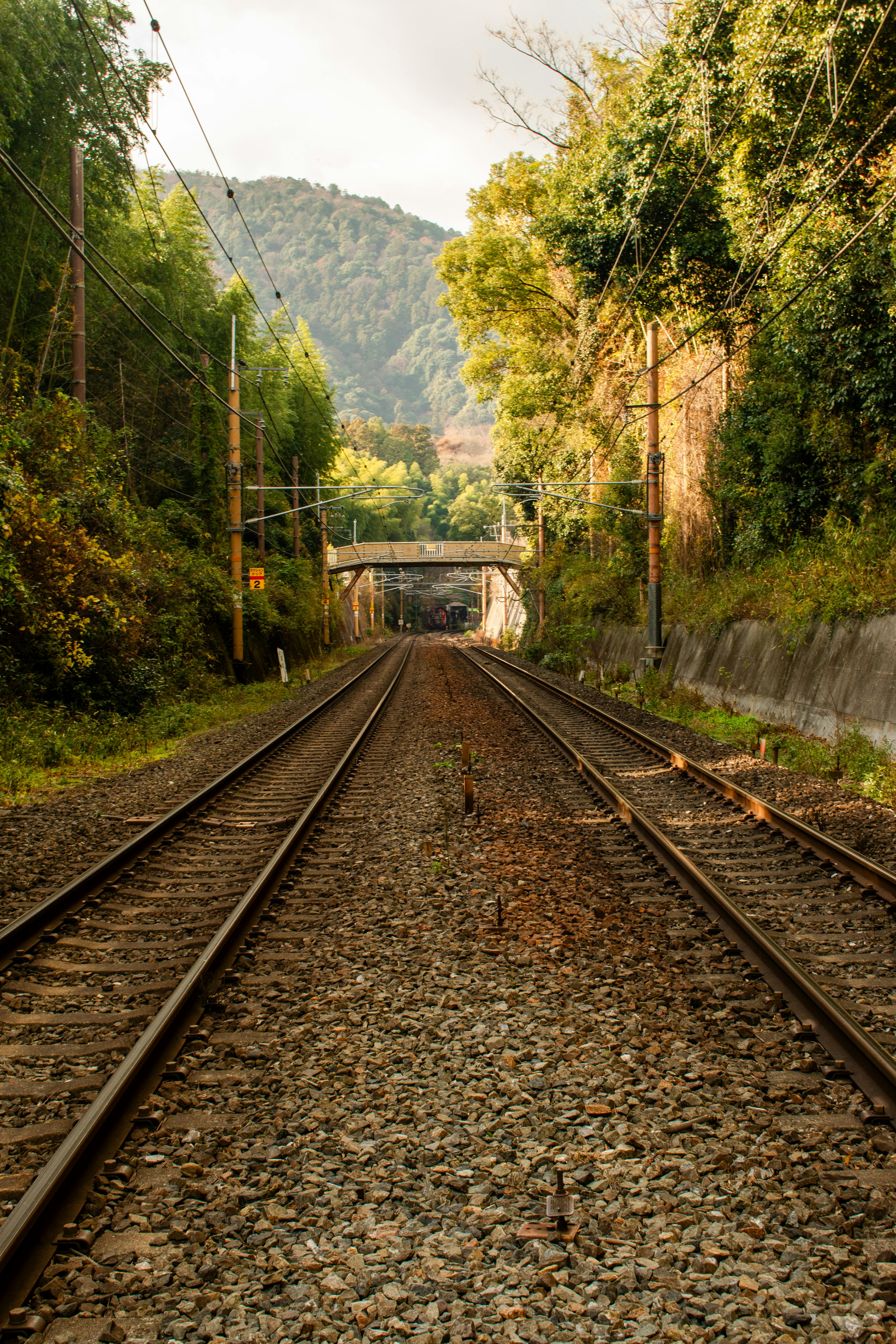 Scenic Railroad Tracks in Kyoto, Japan · Free Stock Photo