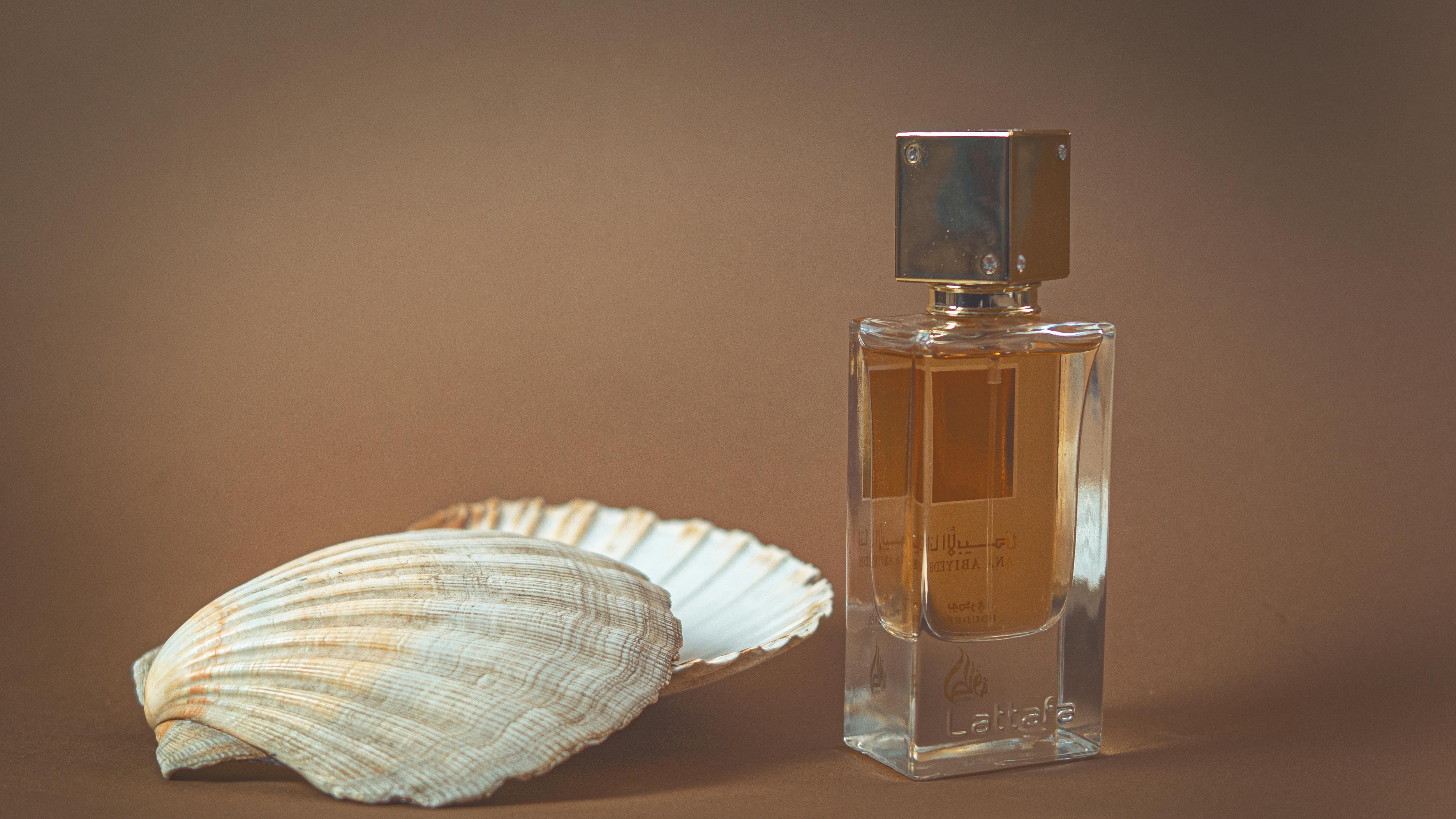 Sea Shell Perfume Photos, Download The BEST Free Sea Shell Perfume ...