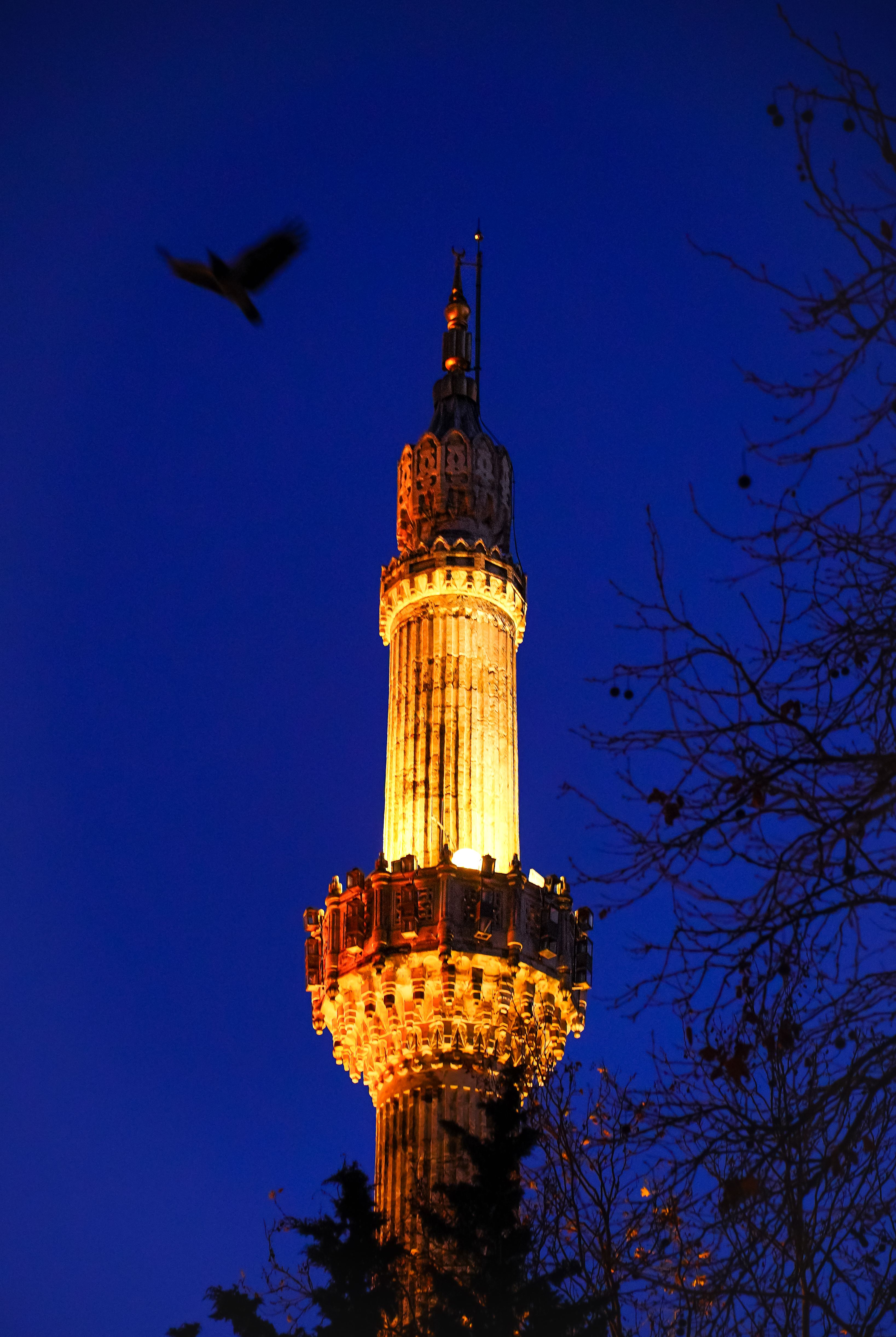 Illuminated Tower at Night with Deep Blue Sky · Free Stock Photo