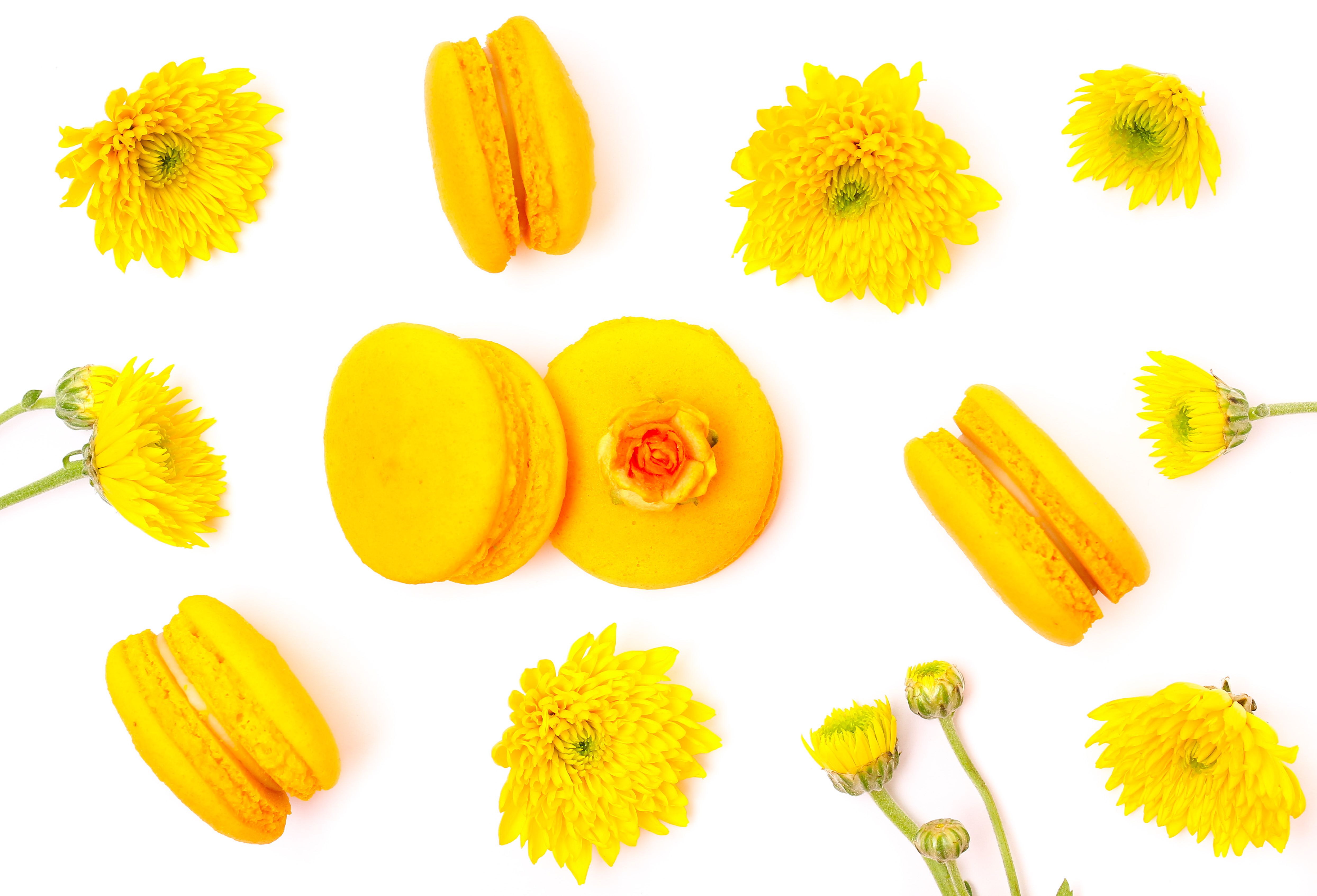 Lemon Dodells Background Photos, Download The BEST Free Lemon Dodells ...